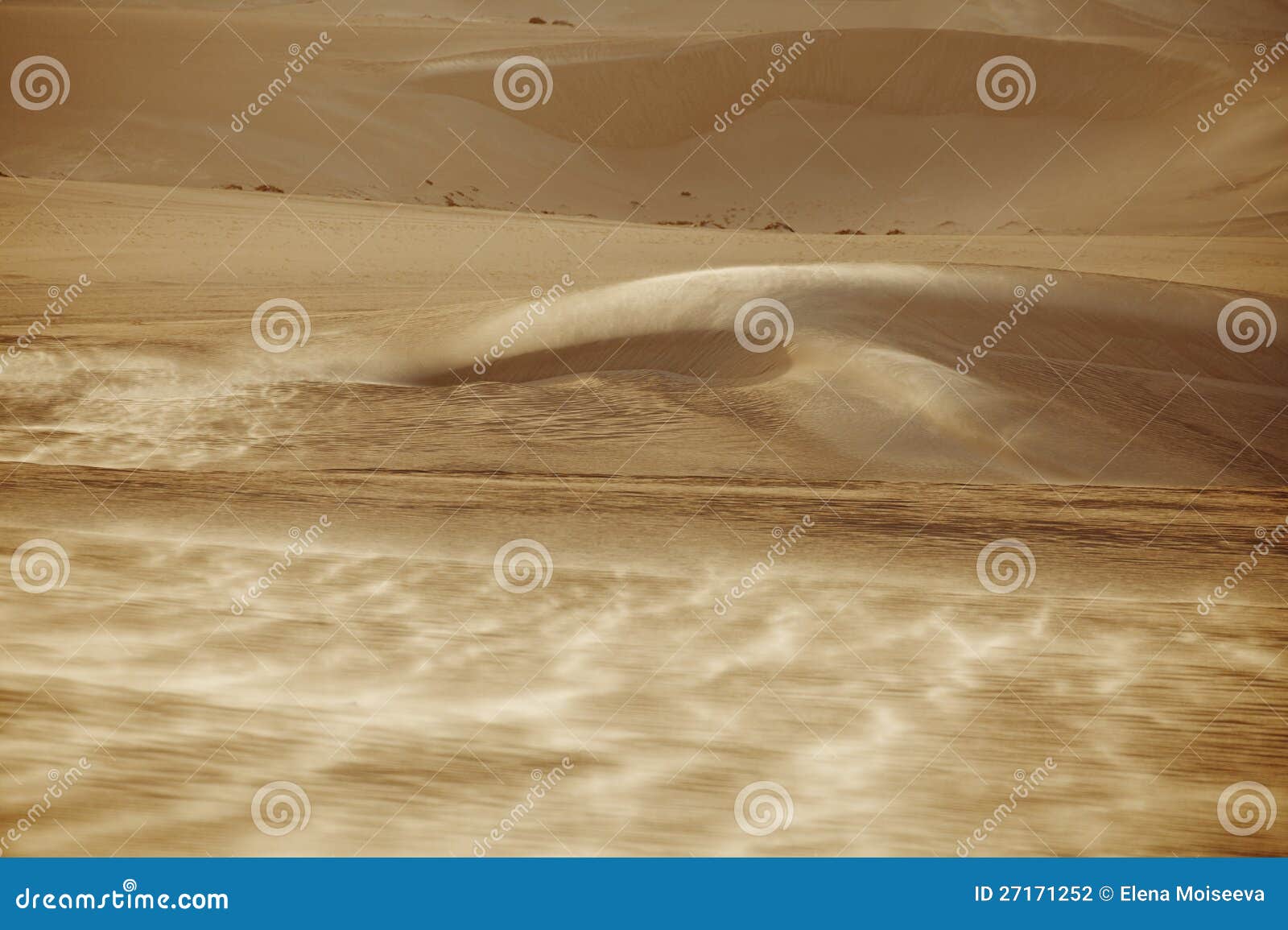 Sand Drift in Sahara Dune Desert Stock Photo - Image of color, eastern ...