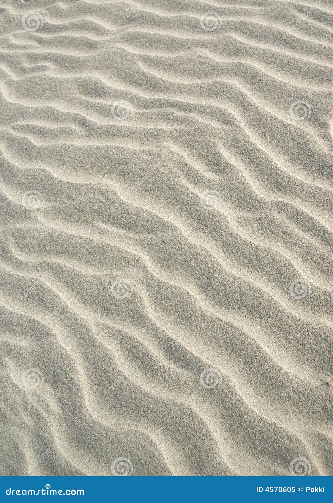 Sand dune. stock image. Image of light, backgrounds, ripples - 4570605
