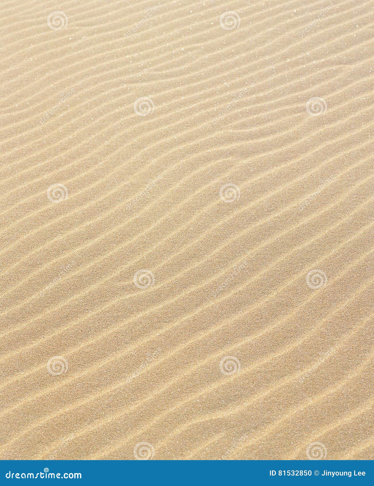 Sand stock photo. Image of ruff, dune, desert, photograph - 81532850