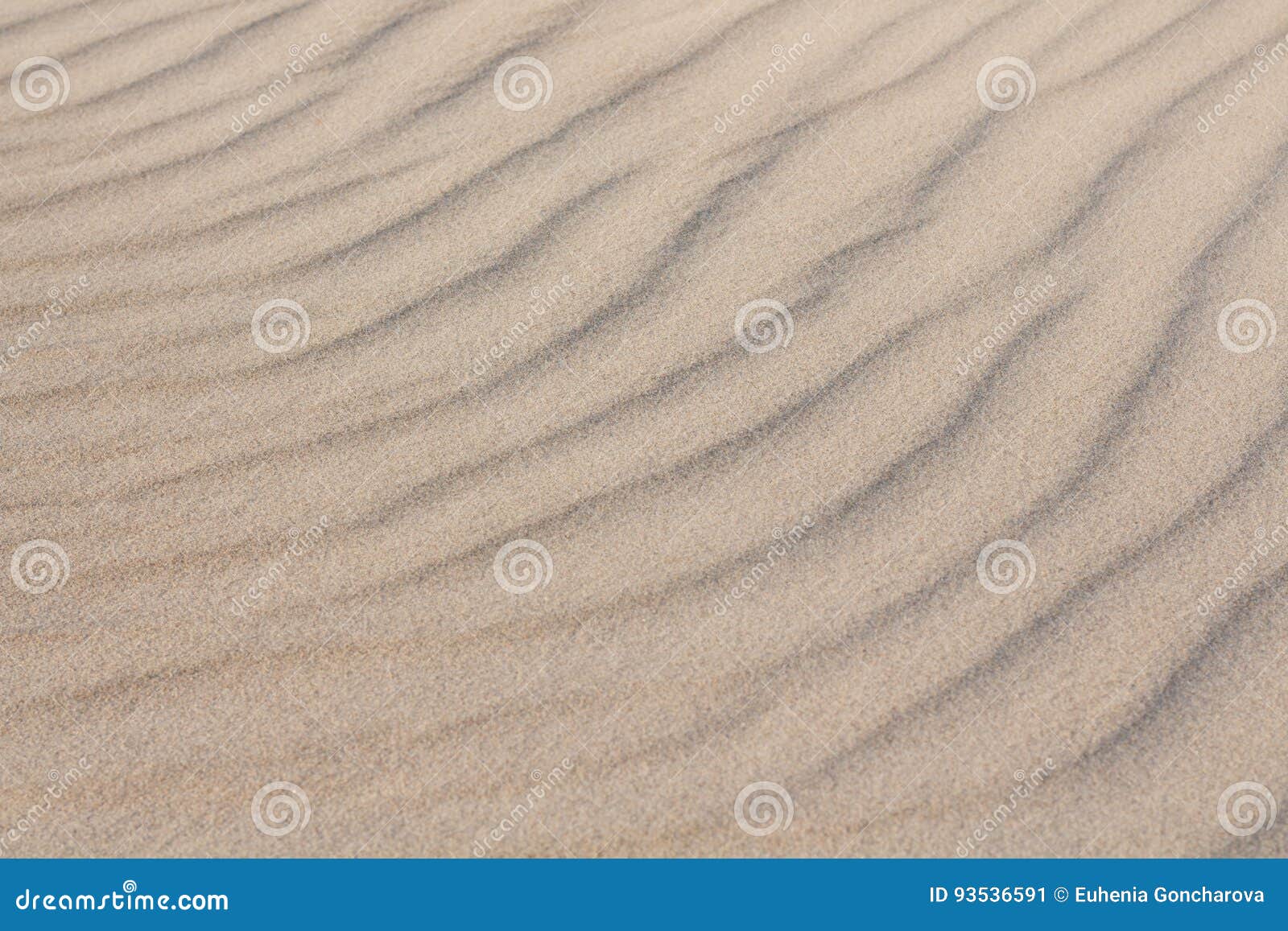 Sand dune close up stock image. Image of dune, close - 93536591