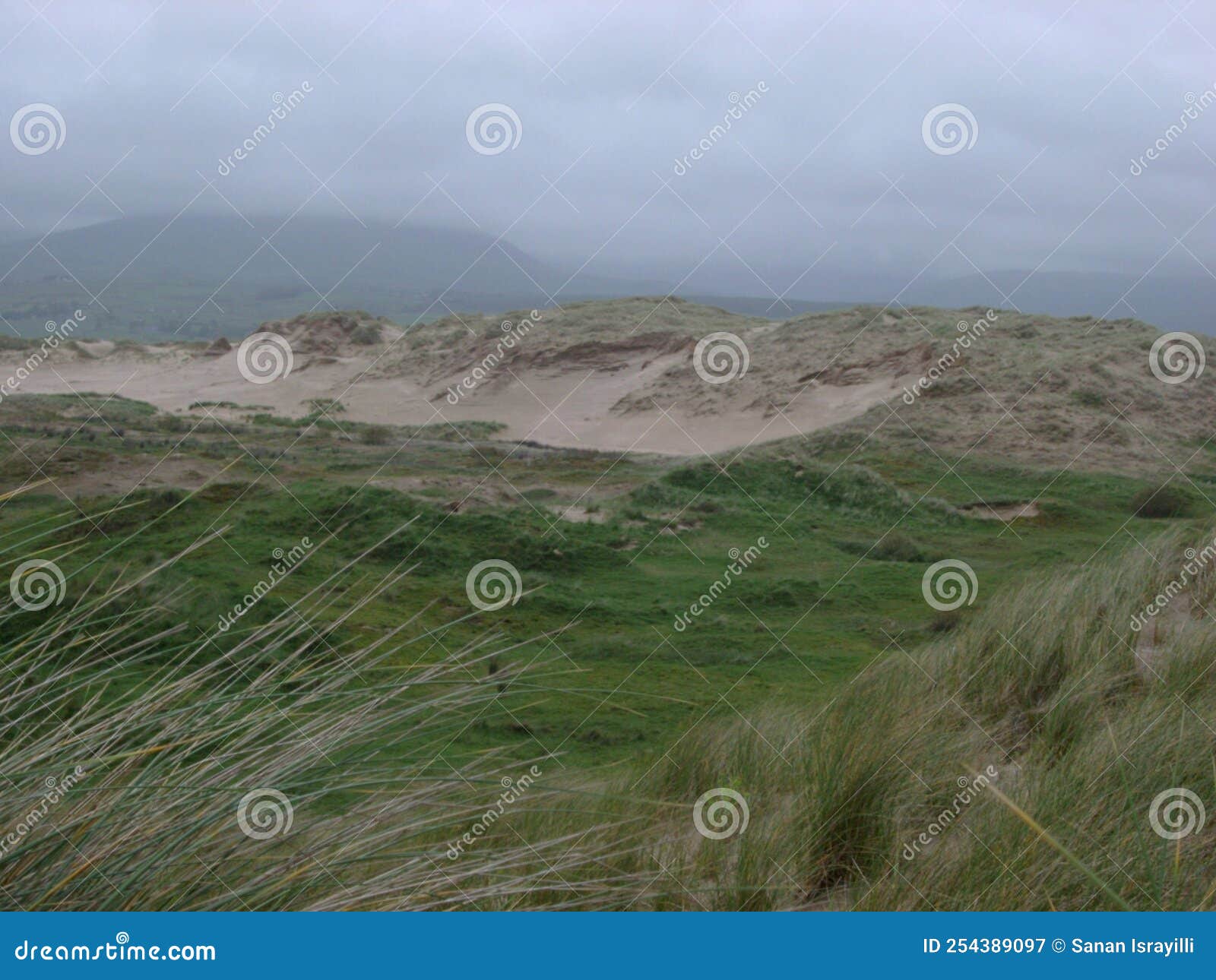 Coastal Sand Dunes, Wind Swept Dune Grasses Stock Image - Image of ...