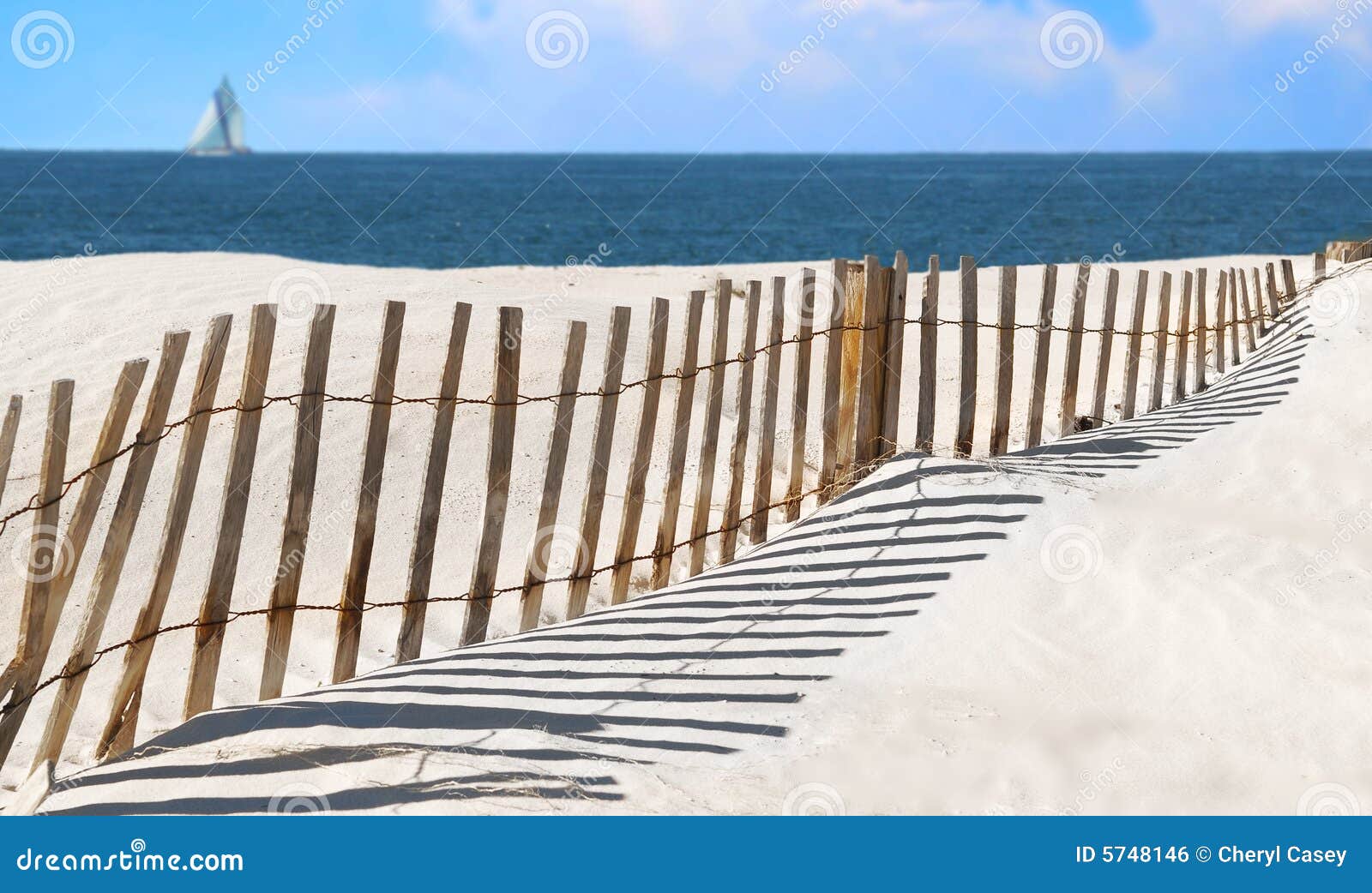 Sand Dune Fence at Seashore Stock Photo - Image of beautiful, panhandle ...