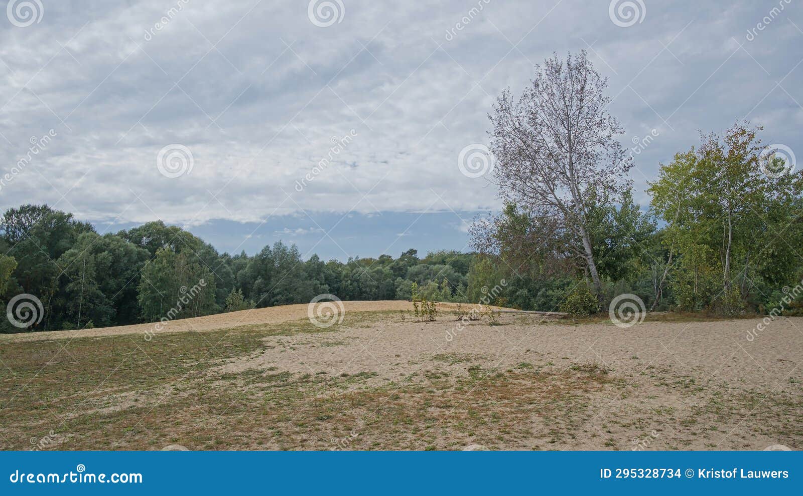 Sand Dune in Grunewald Forest, Berlin Stock Photo - Image of geology ...