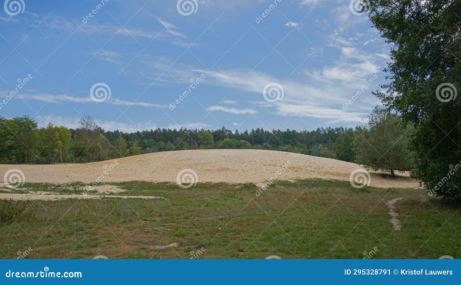 Sand Dune in Grunewald Forest Near Belin Stock Image - Image of green ...