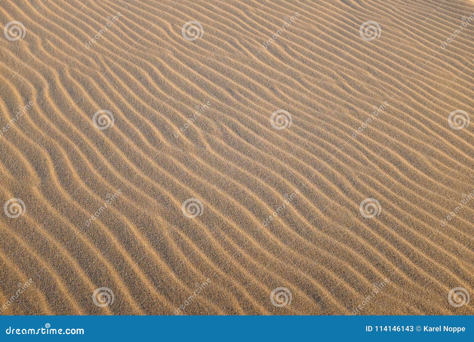 Sand Dune with Multiple Waves Formed by Wind. Stock Image - Image of ...