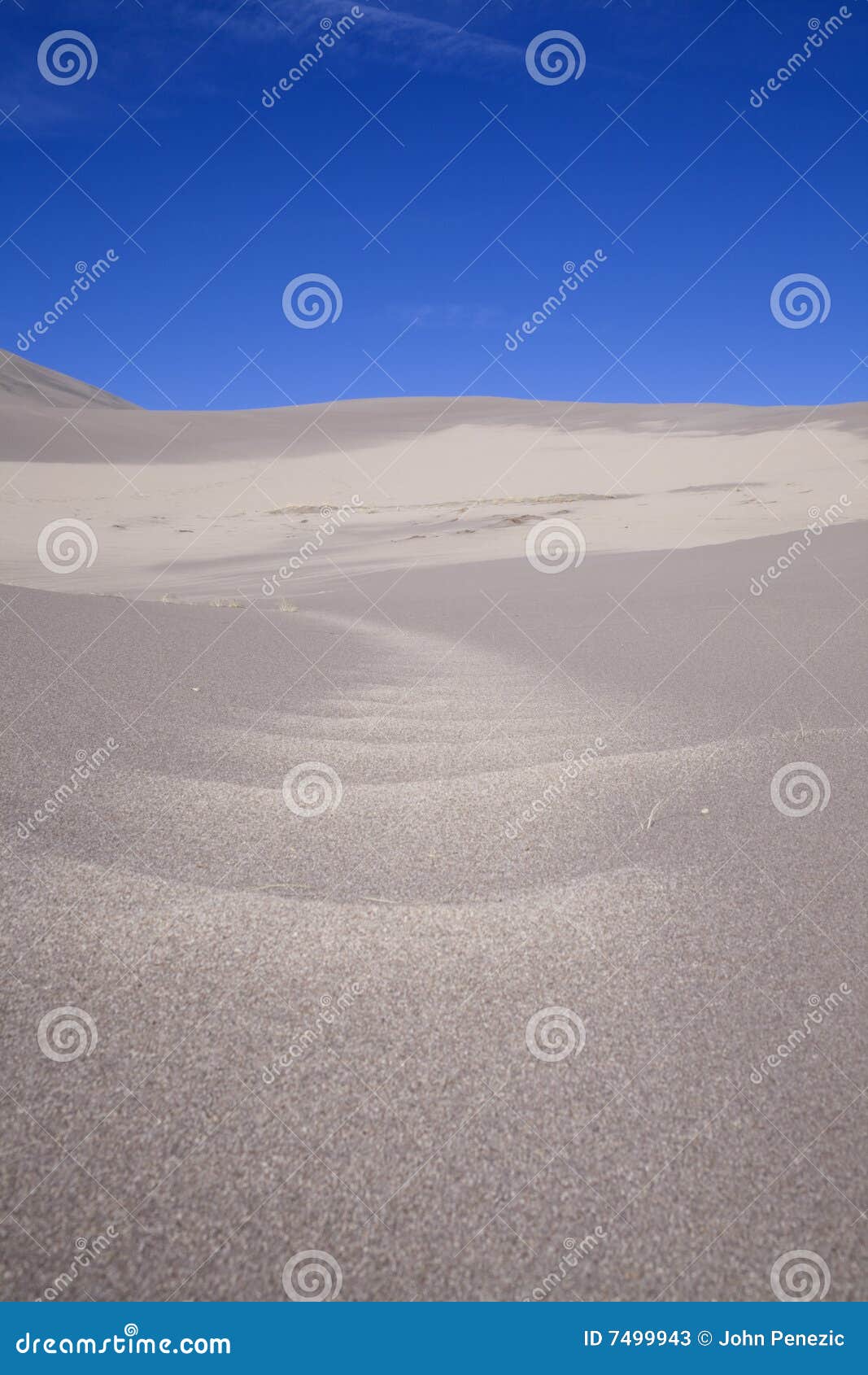Sand dune path stock image. Image of blue, upward, erosion - 7499943