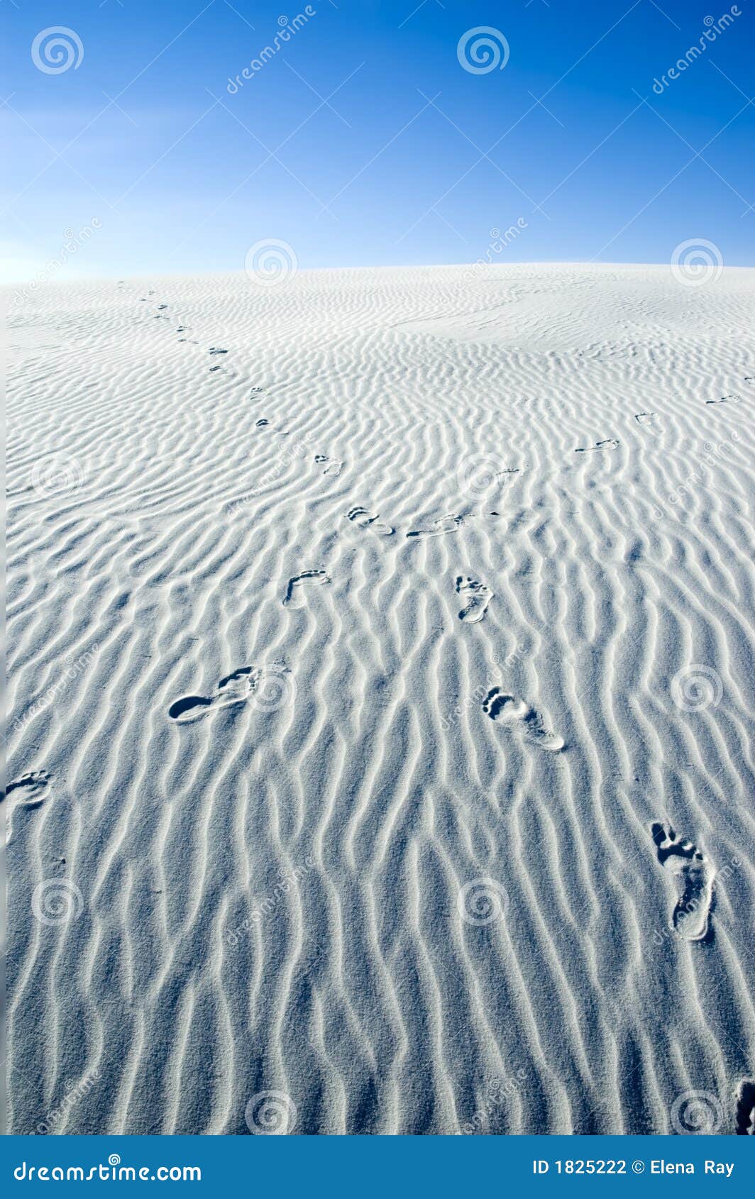 Sand Dune Two Paths stock photo. Image of health, disagreement - 1825222