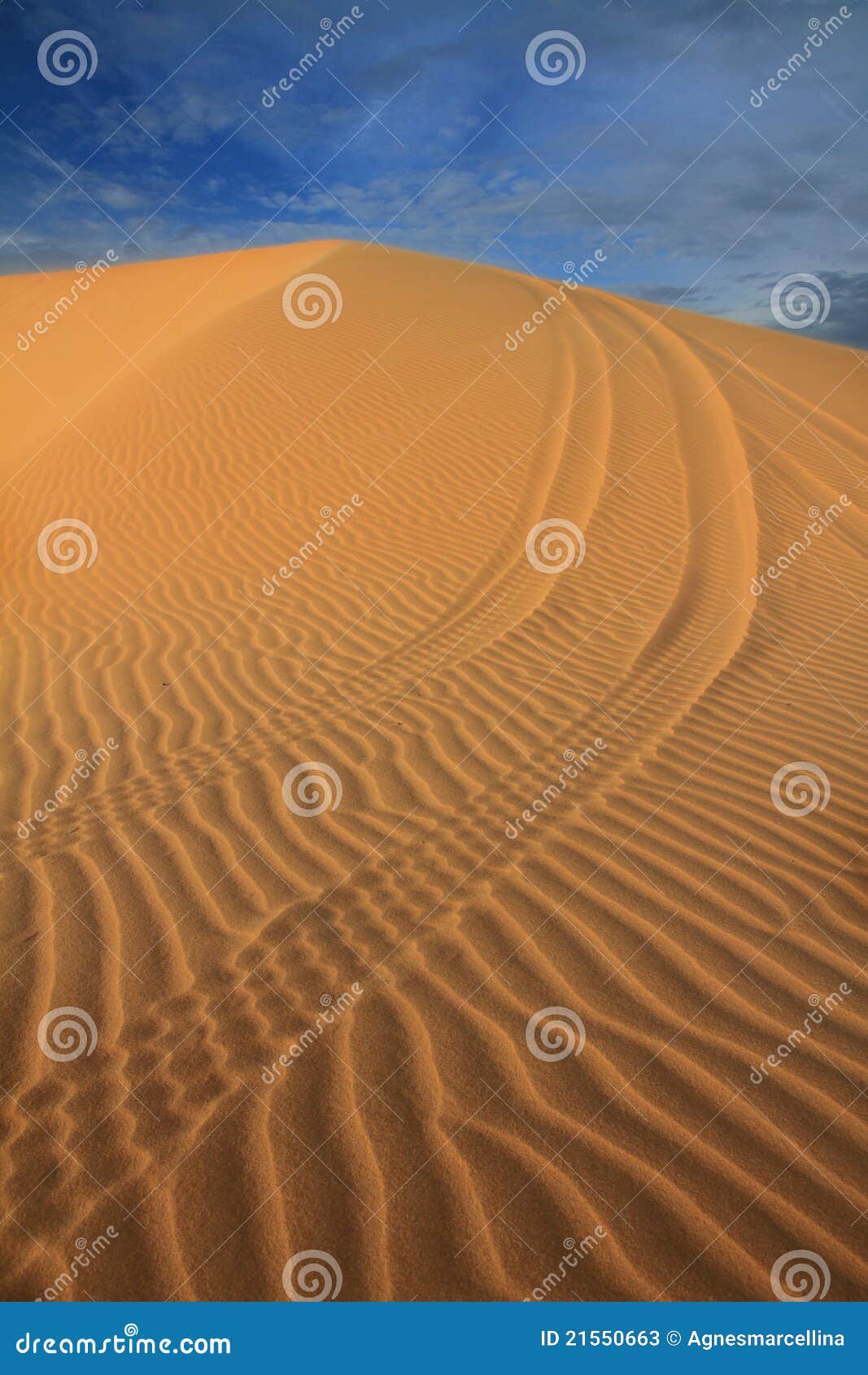 Sand Dune Pattern stock image. Image of beach, evening - 21550663