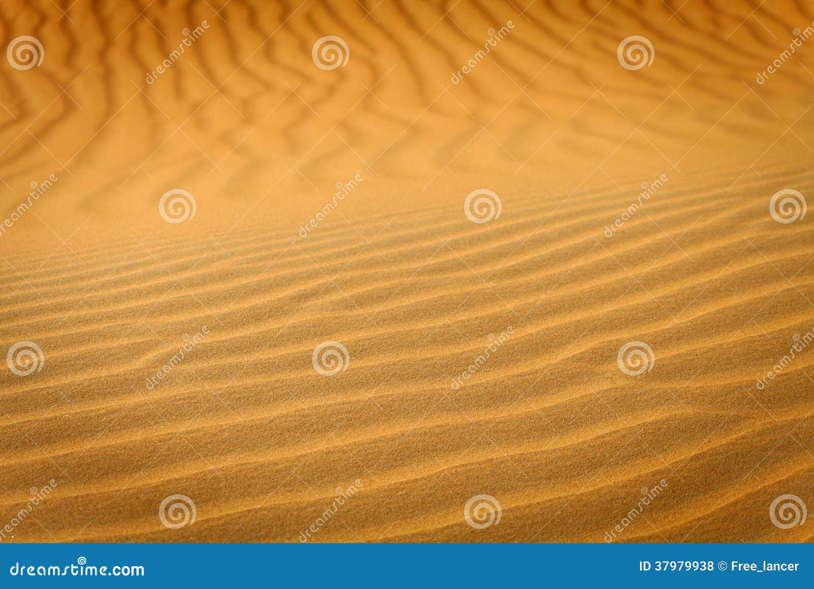 Sand dune pattern stock photo. Image of detail, dust - 37979938