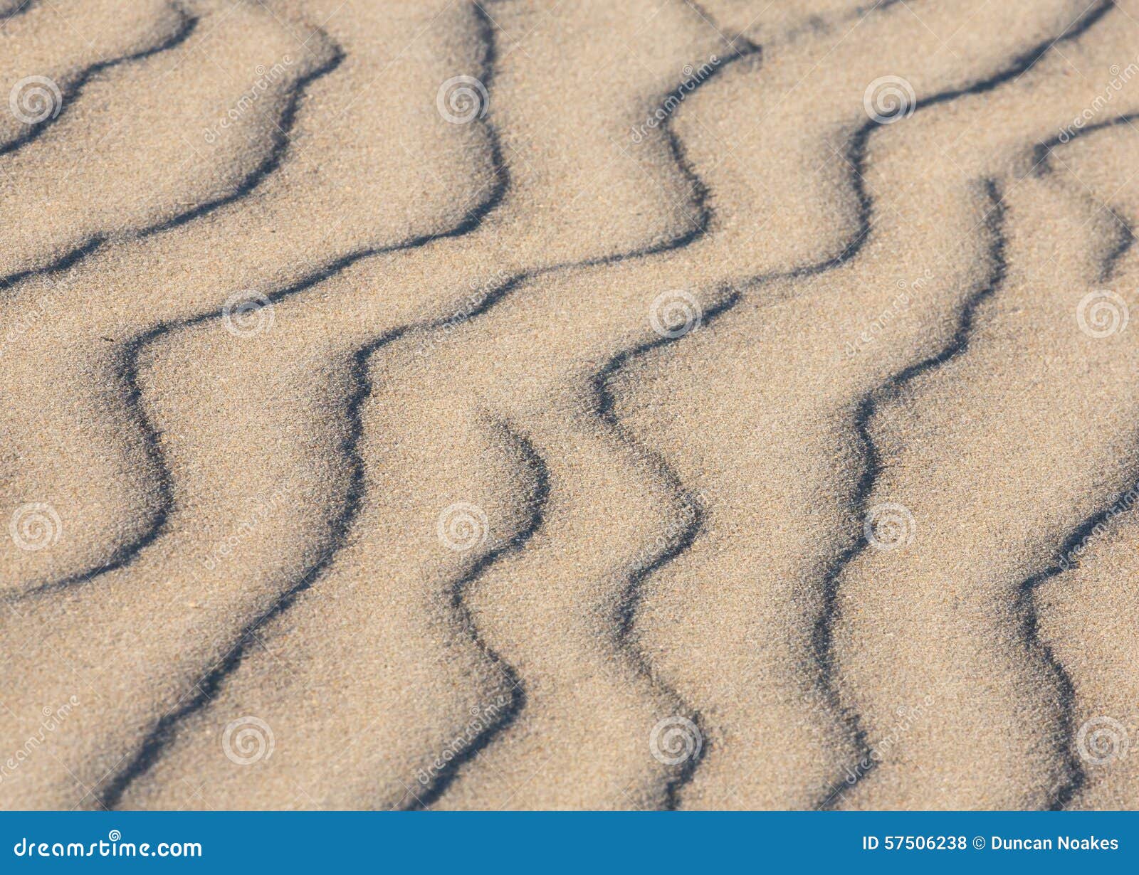 Sand Dune Patterns stock photo. Image of wind, white - 57506238