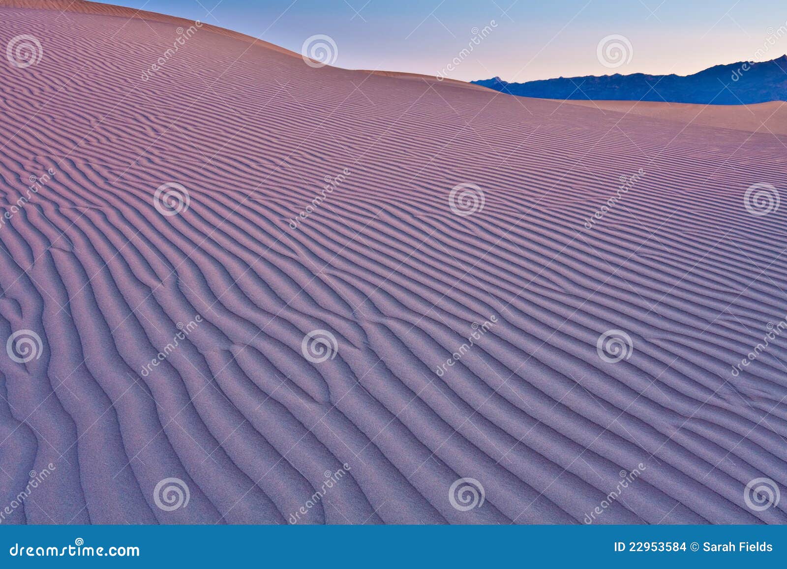 Sand Dune Ripples stock photo. Image of death, empty - 22953584