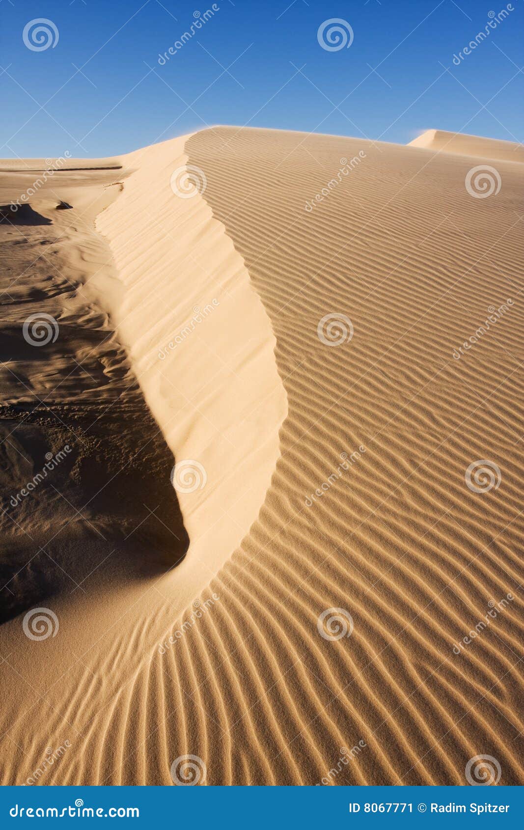 Sand dune ripples stock image. Image of egypt, desolate - 8067771