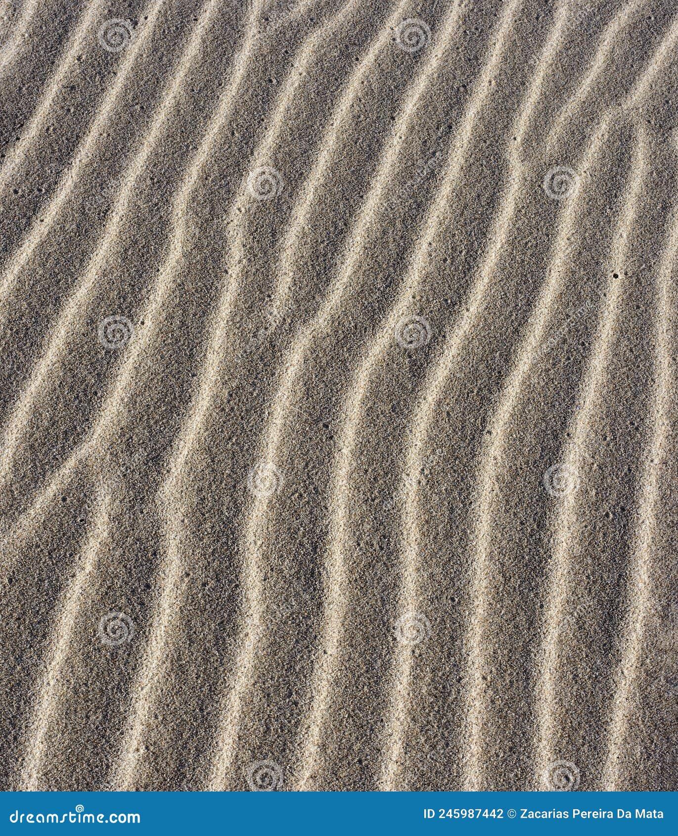 Sand dune ripples stock photo. Image of climate, geology - 245987442