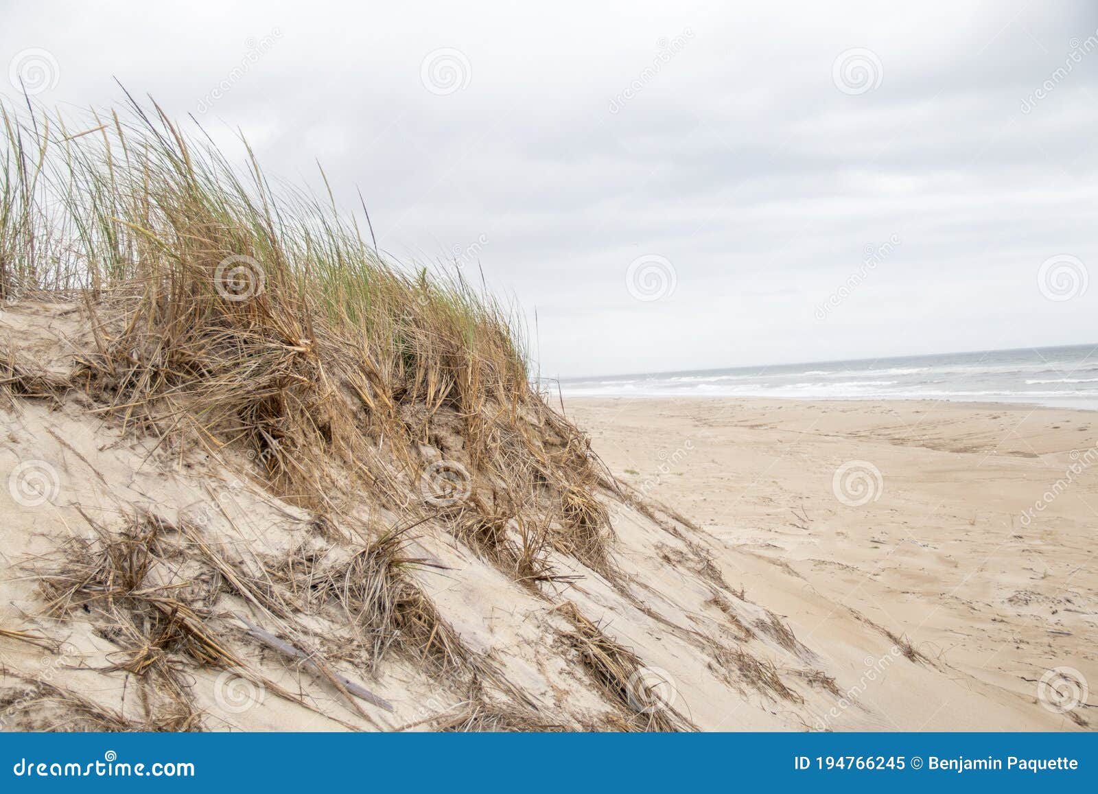 Sand Dune on the Side of the Beach at the Ocean Stock Image - Image of ...