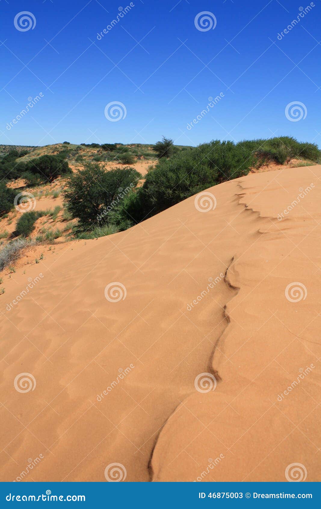 Sand Dune in Southern Botswana Stock Image - Image of desert ...