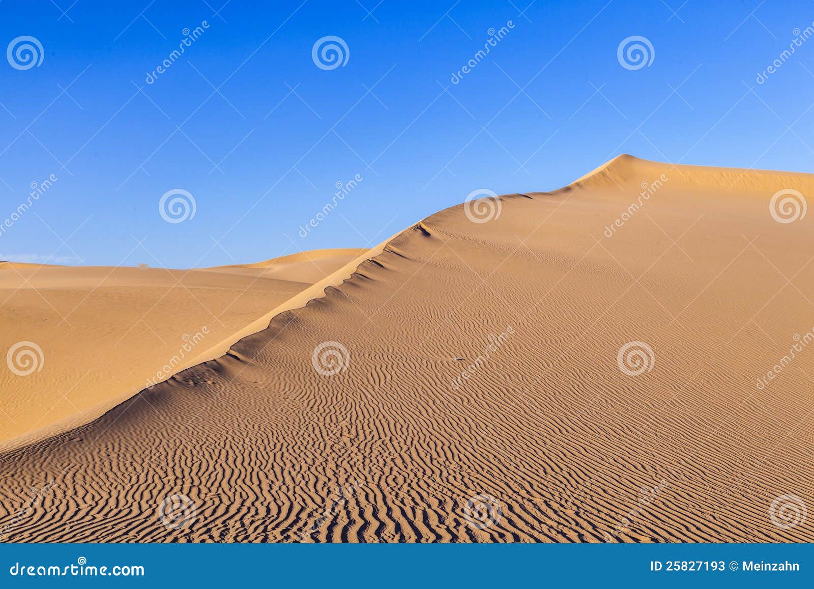 Sand Holl Sand Insects Royalty-Free Stock Photography | CartoonDealer ...