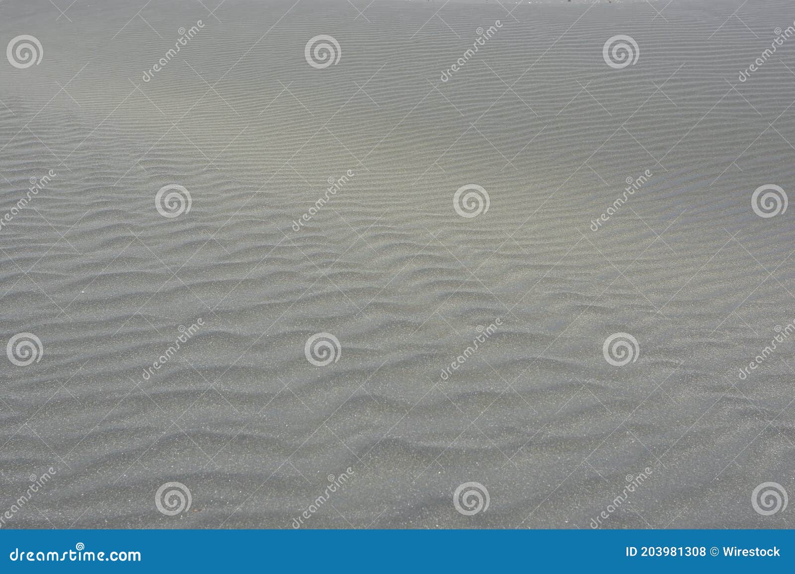 Sand Dune Surface Wave Pattern Stock Photo - Image of wind, wave: 203981308