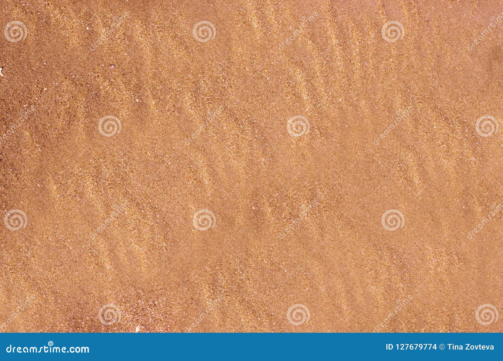 Sand dune texture stock photo. Image of grained, coast - 127679774