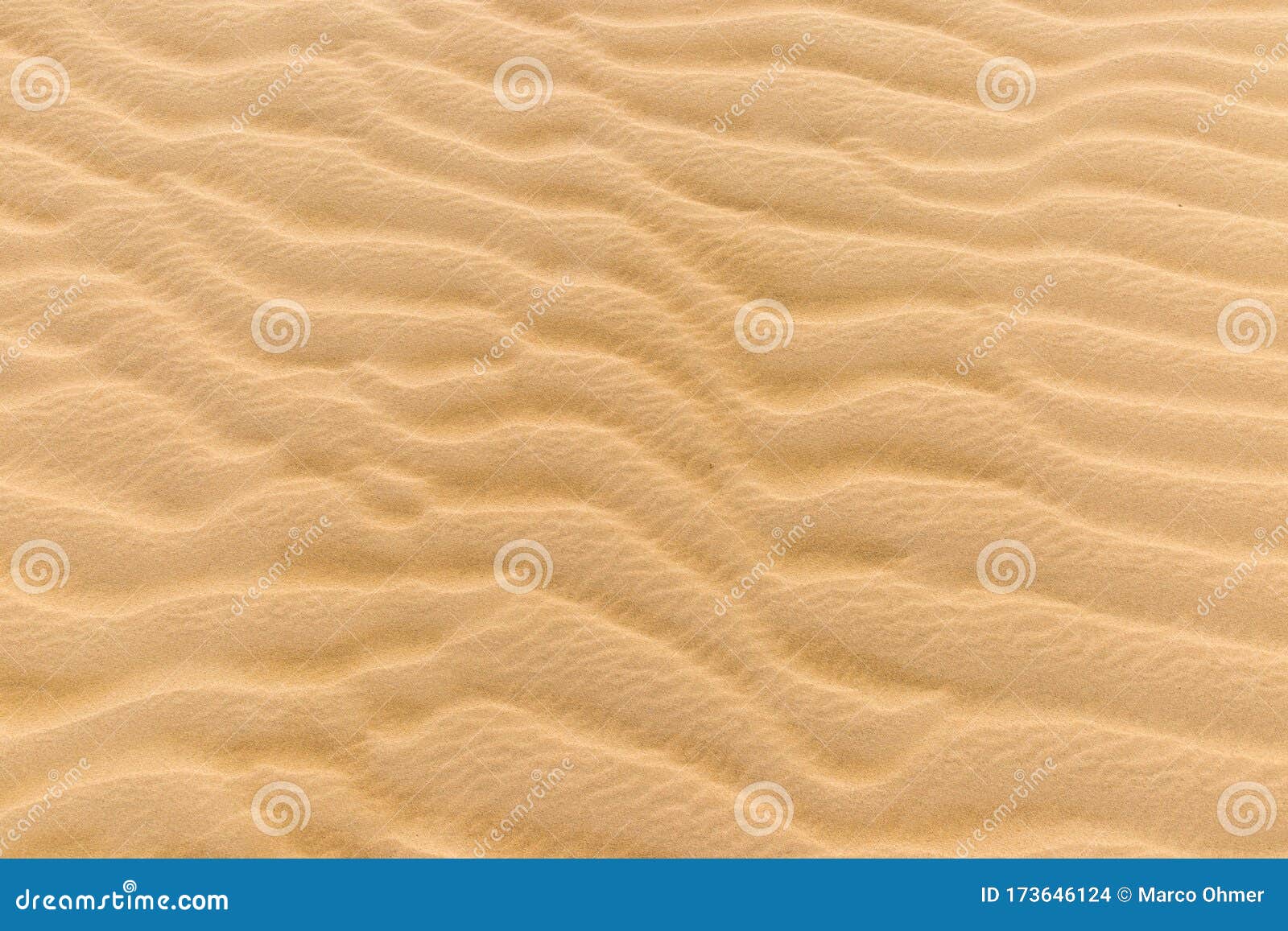 Sand dune texture stock photo. Image of desert, savant - 173646124