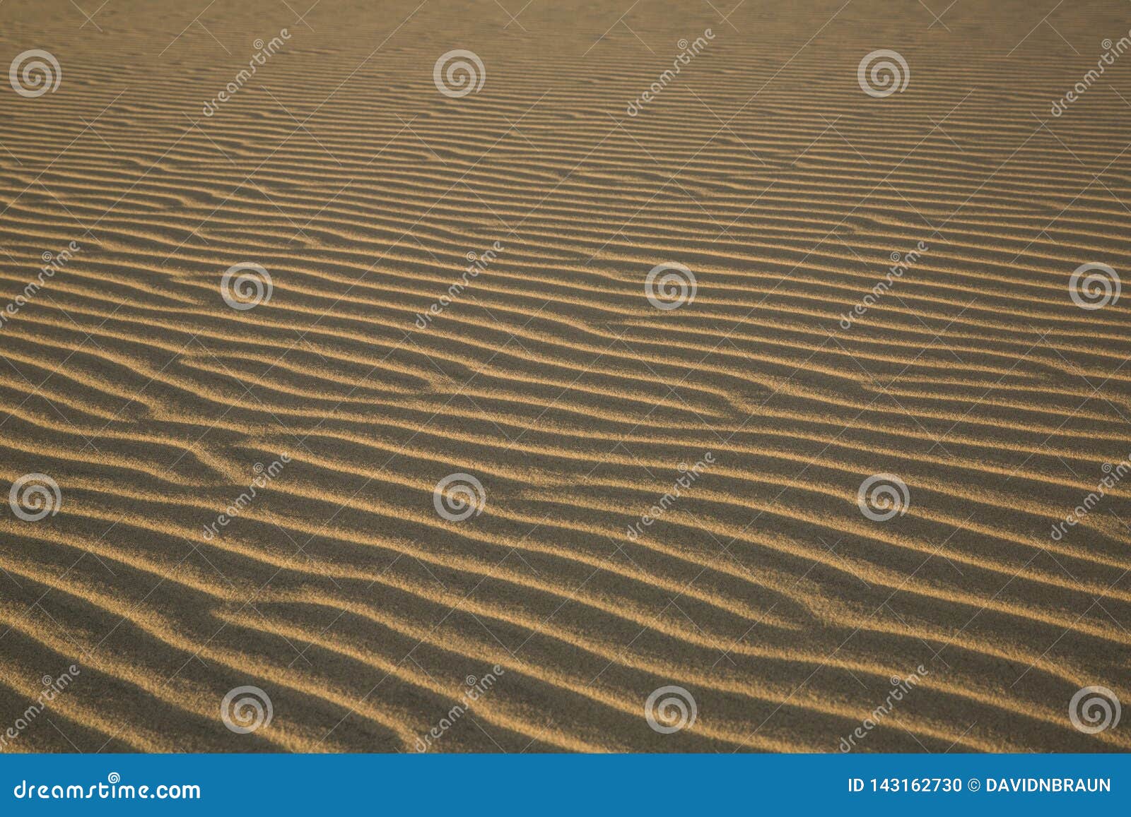 Sand Dune Texture at Sunset Stock Photo - Image of nature, valley ...