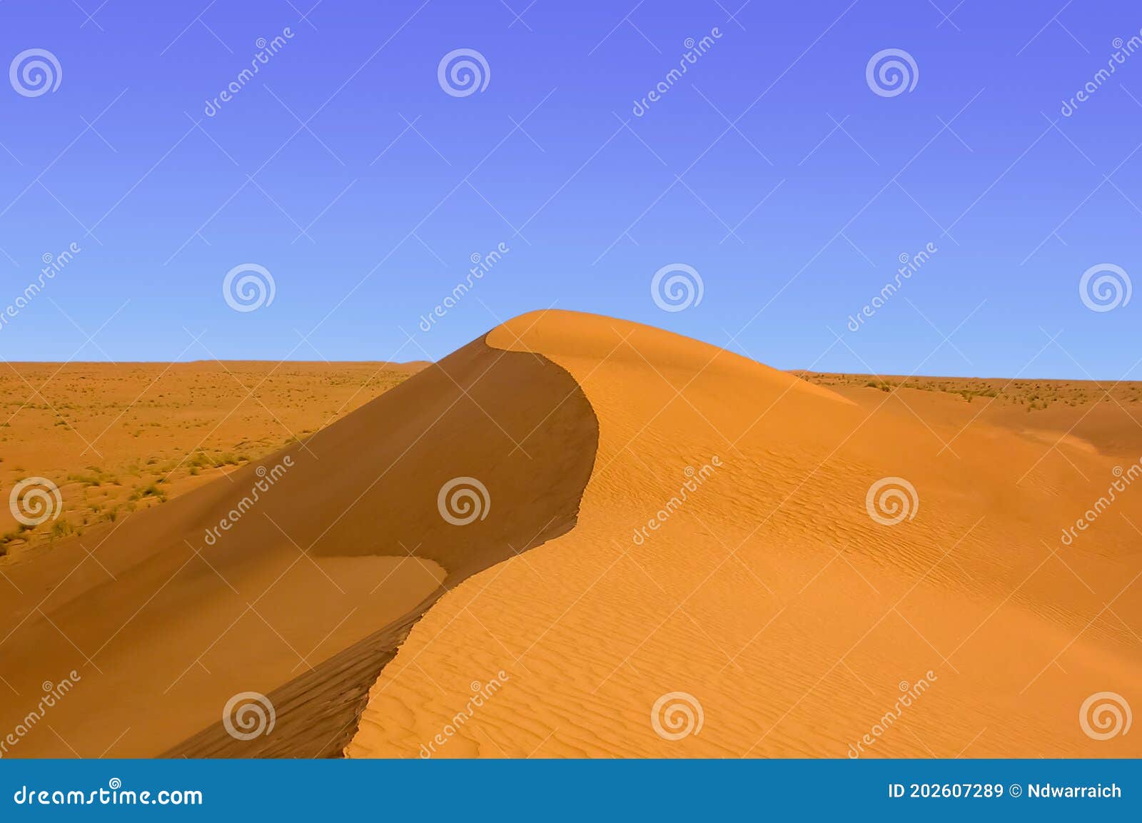 Sand Dune in the Thar Desert Stock Image - Image of india, brown: 202607289