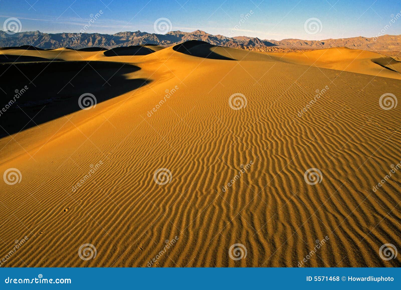 Sand Dune Background Royalty-Free Stock Image | CartoonDealer.com #11748250
