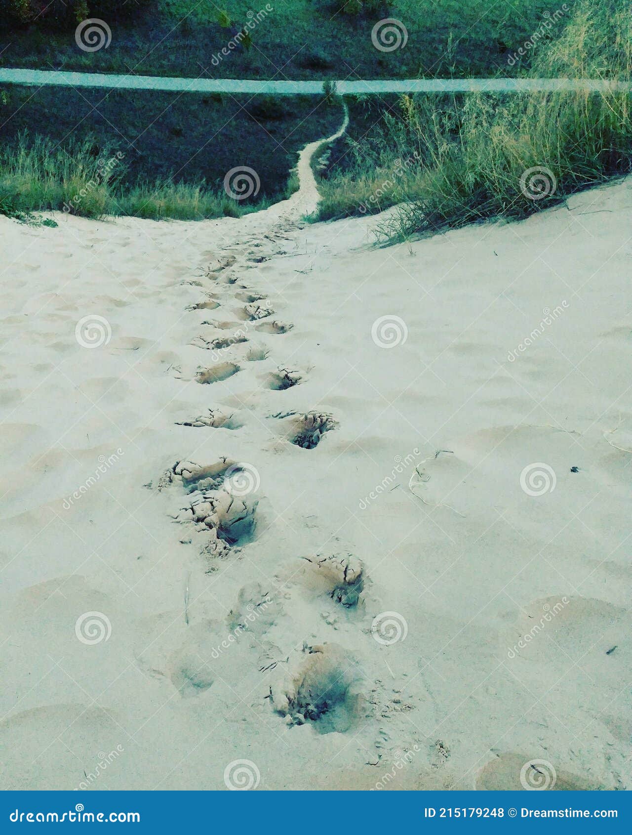 Sand Dune View, Looking Down from Top Stock Photo - Image of sketch ...