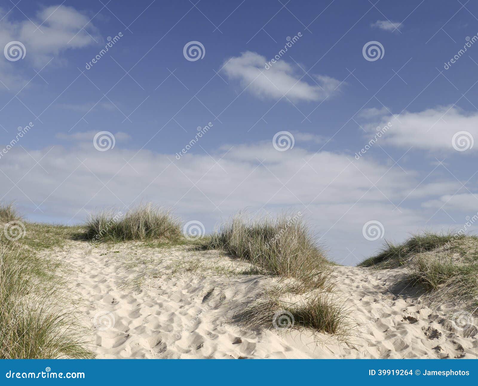 Sand Dune at Walberswick - Suffolk Stock Photo - Image of beach, dunes ...
