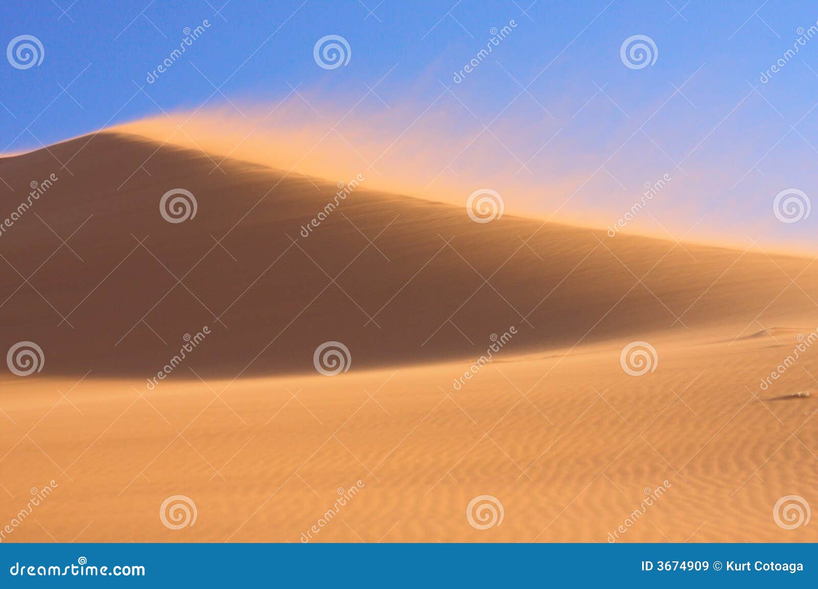 Sand Dune in Wind stock image. Image of pure, blow, desert - 3674909
