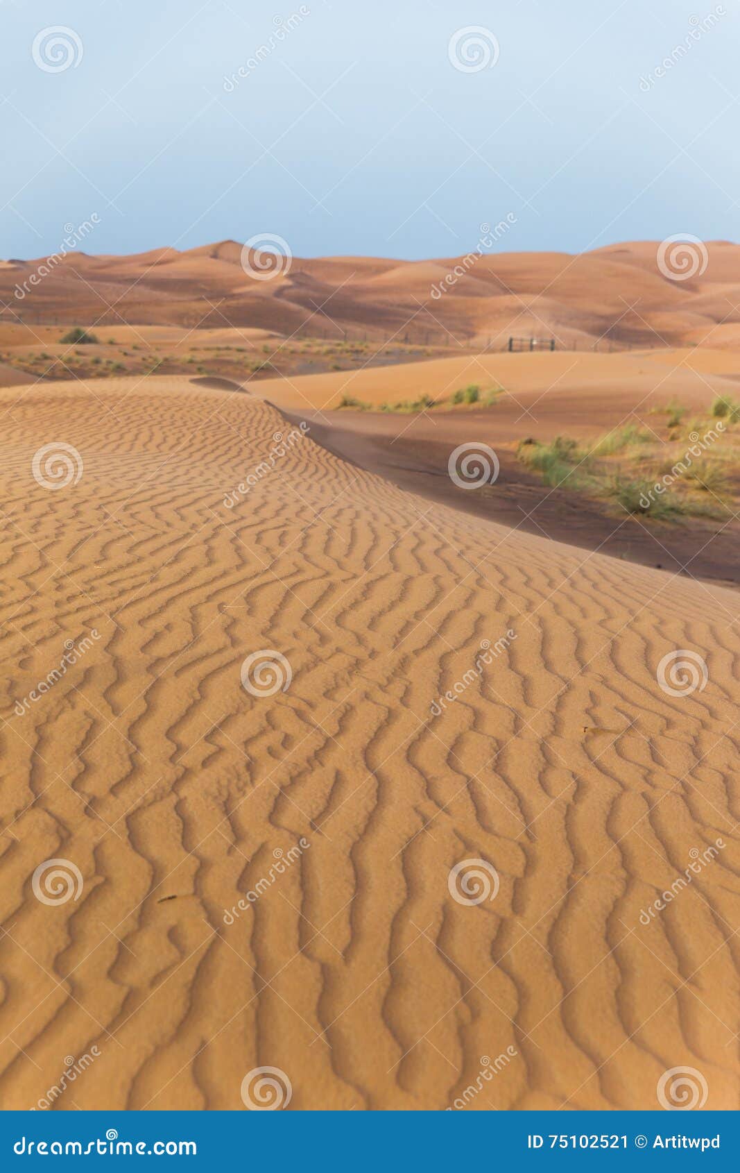 Sand Dune with Wind Trace Texture at Dubai Stock Image - Image of ...