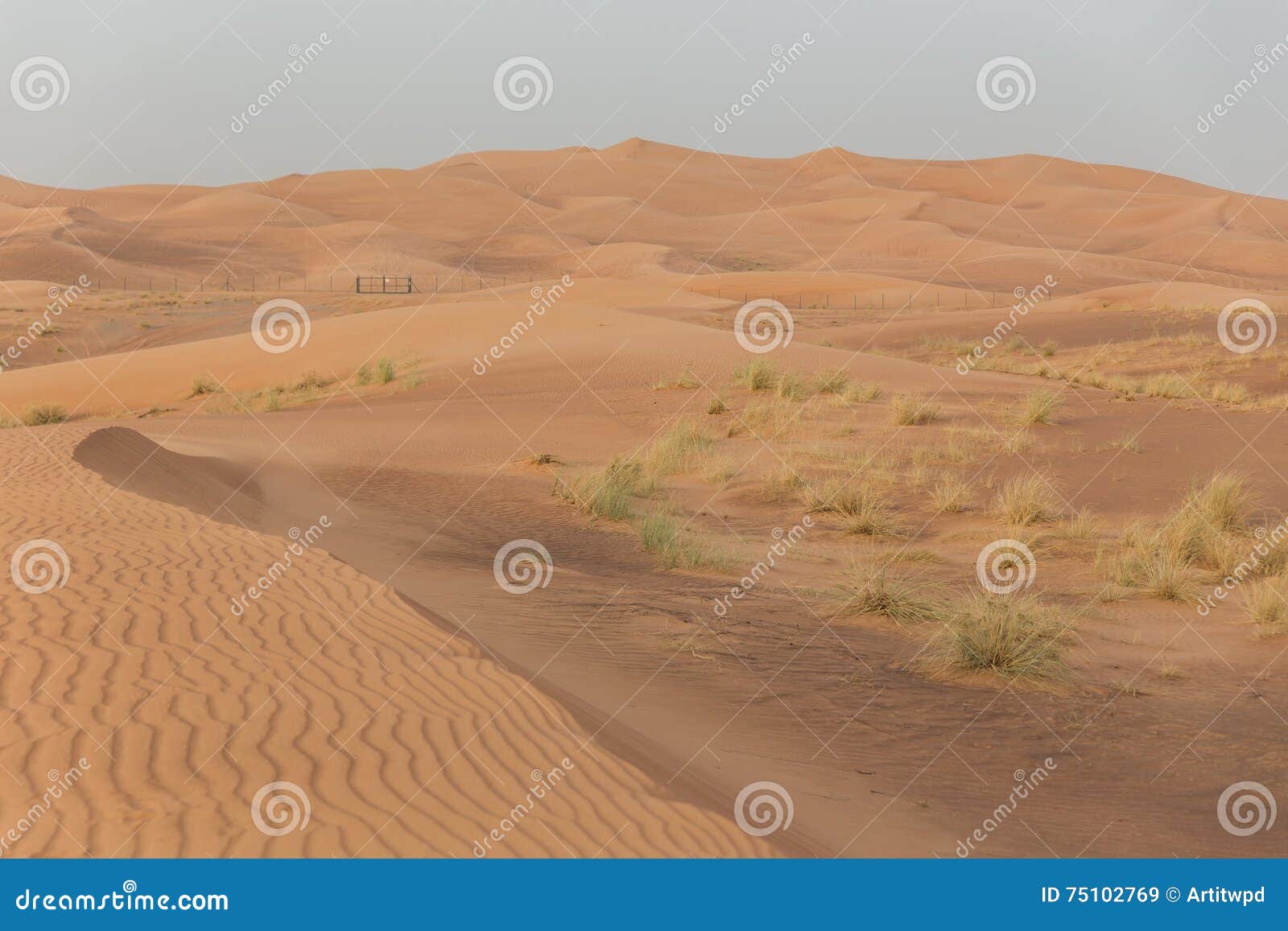 Sand Dune with Wind Trace Texture at Dubai Stock Image - Image of ...