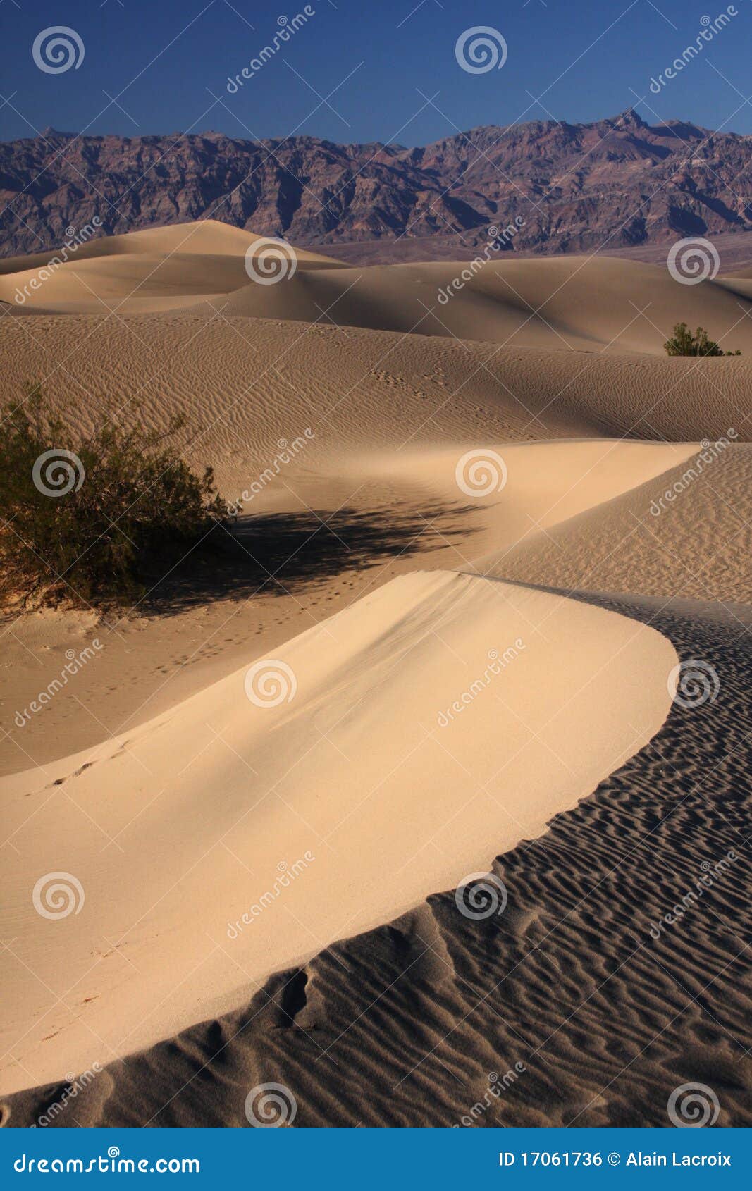 Sand dunes stock photo. Image of arid, dune, natural - 17061736