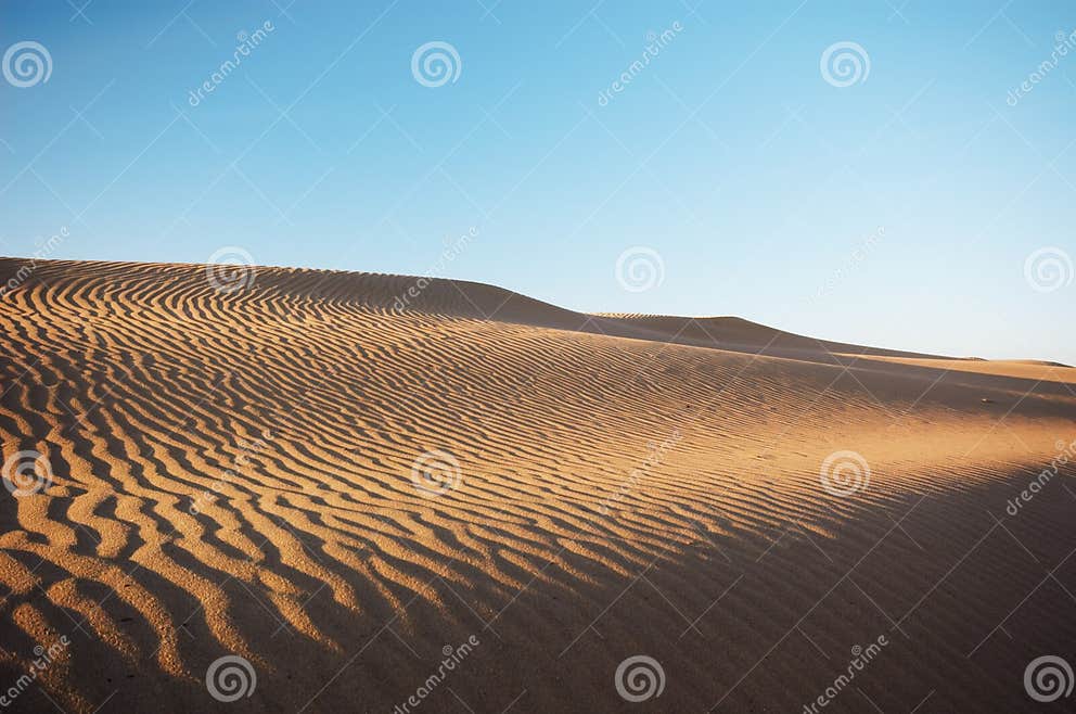 Sand dunes stock image. Image of dirt, particle, gold - 1879205