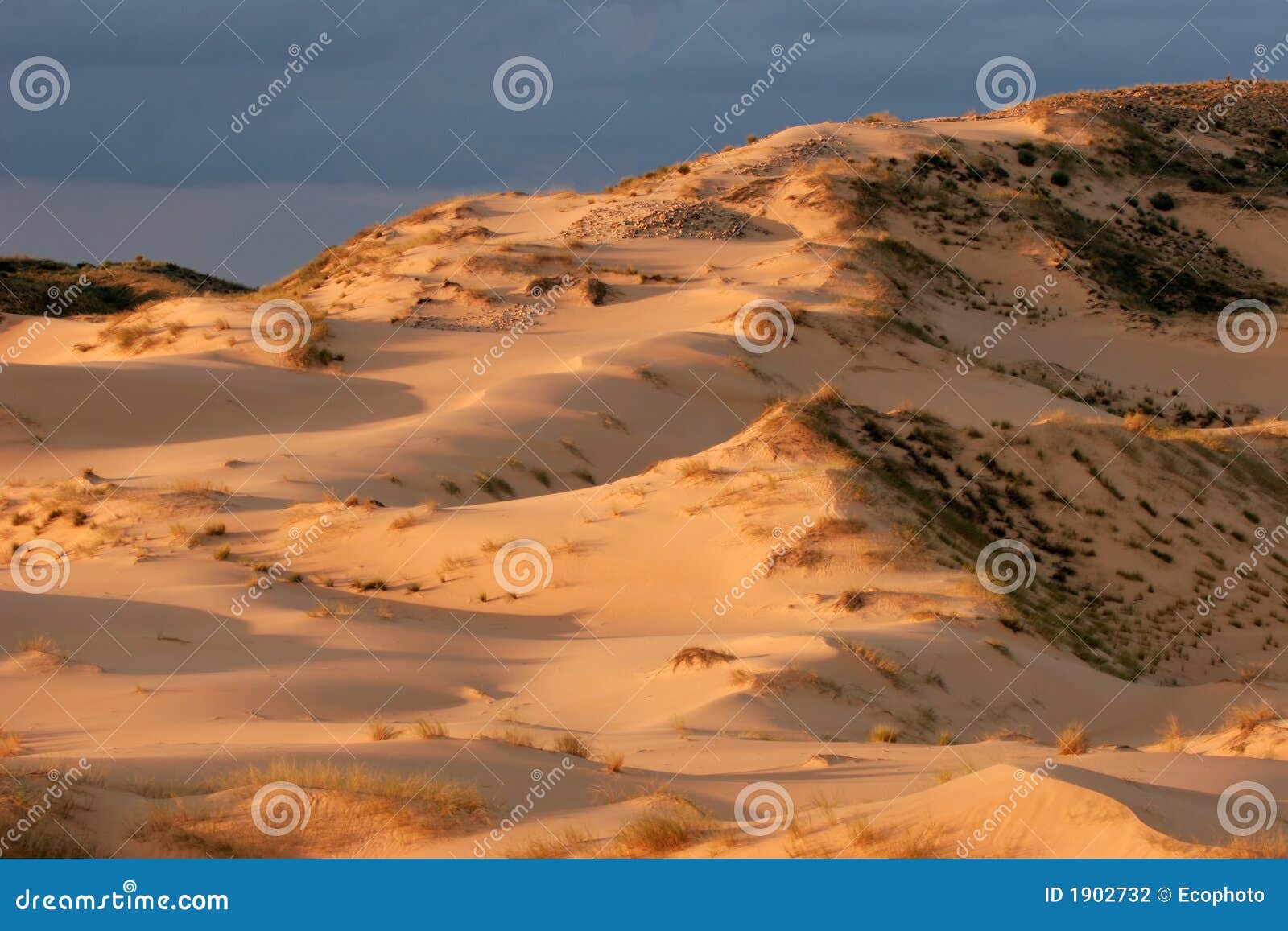 Sand dunes stock photo. Image of african, nature, drought - 1902732