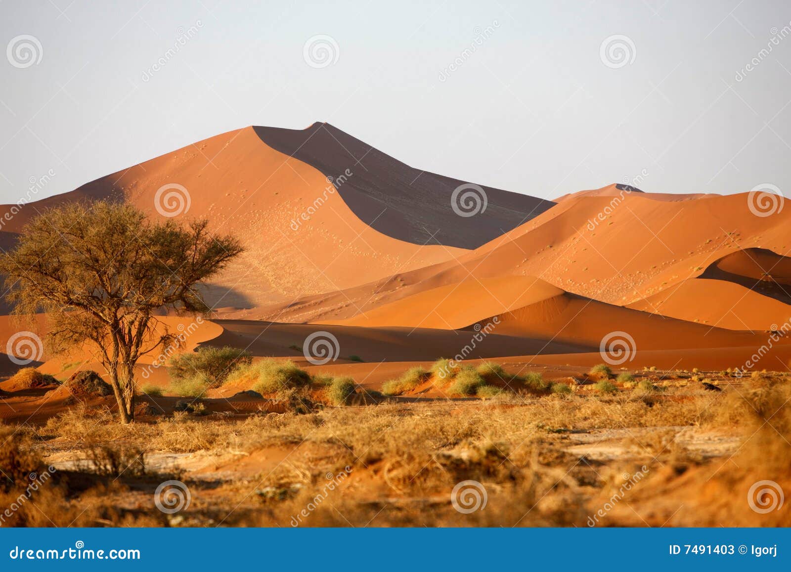 4,460 African Sand Texture Stock Photos - Free & Royalty-Free Stock ...