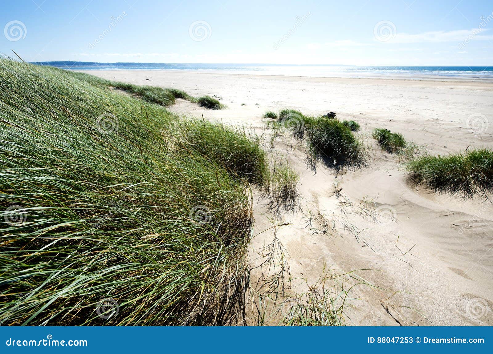 Sand Dunes Along the Shoreline Stock Image - Image of england, beach ...