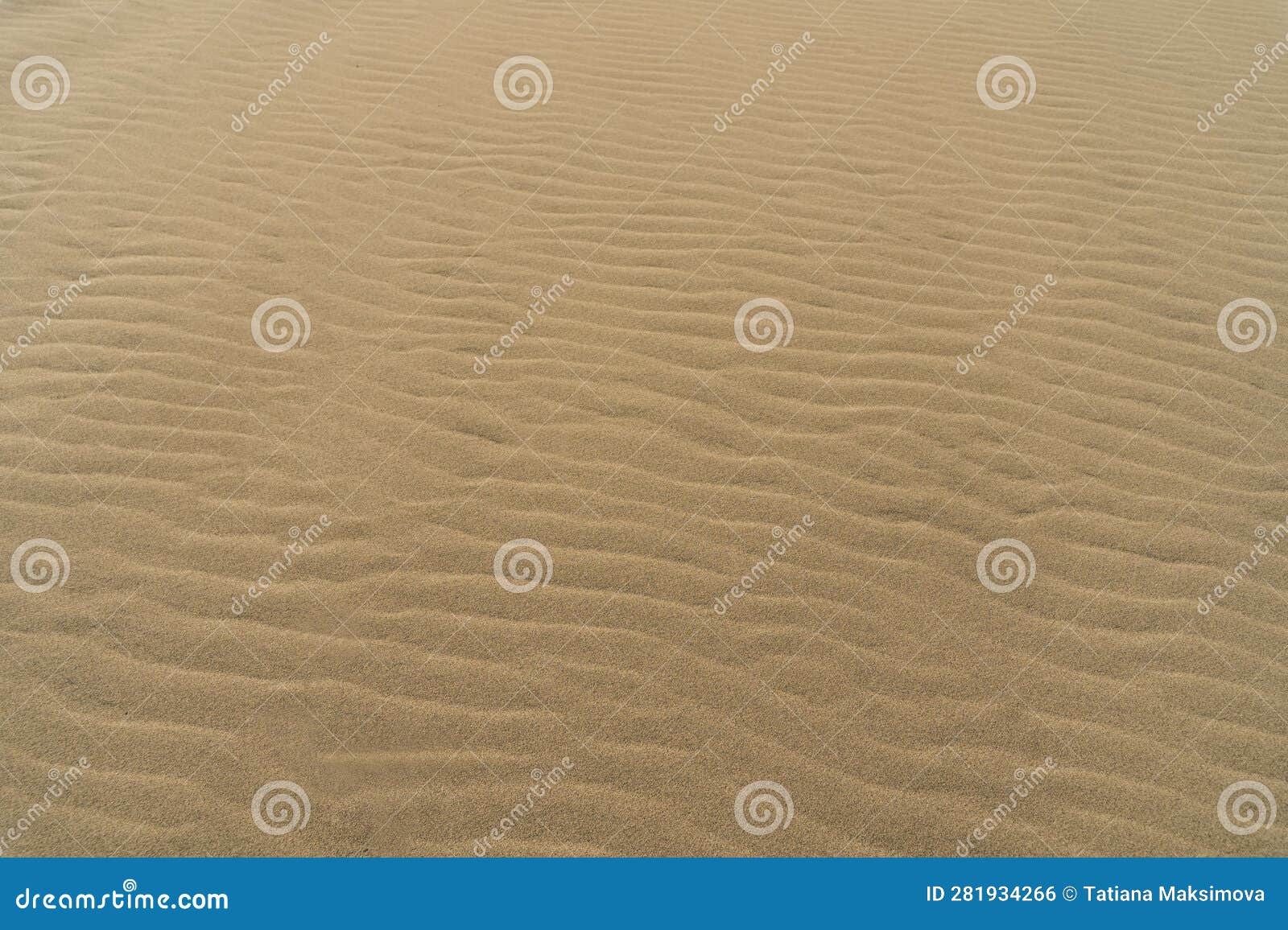 Sand Dunes Background Texture, Camel Color. Stock Photo - Image of sand ...