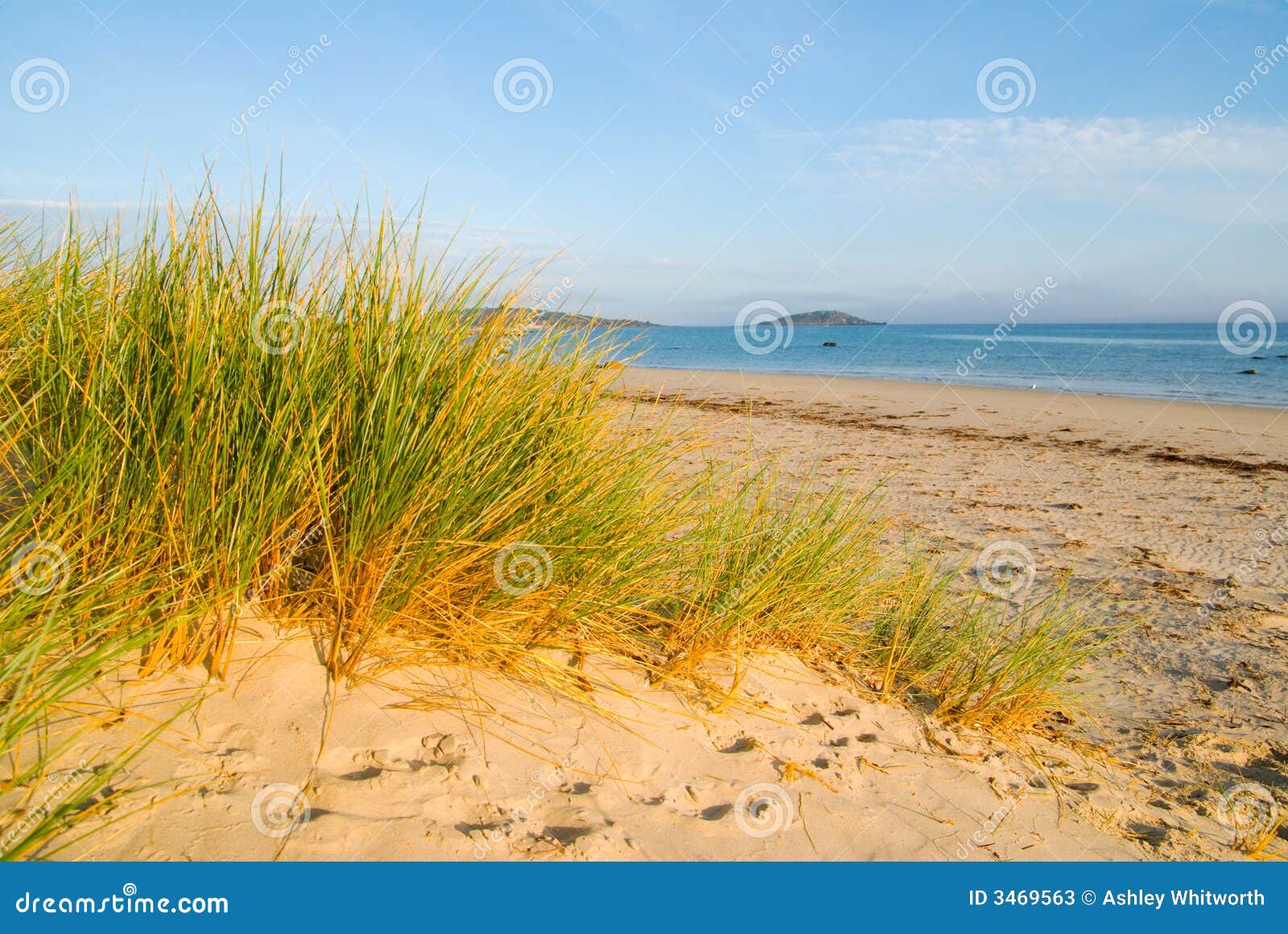 Sand Dunes and Beach stock image. Image of rocks, coast - 3469563