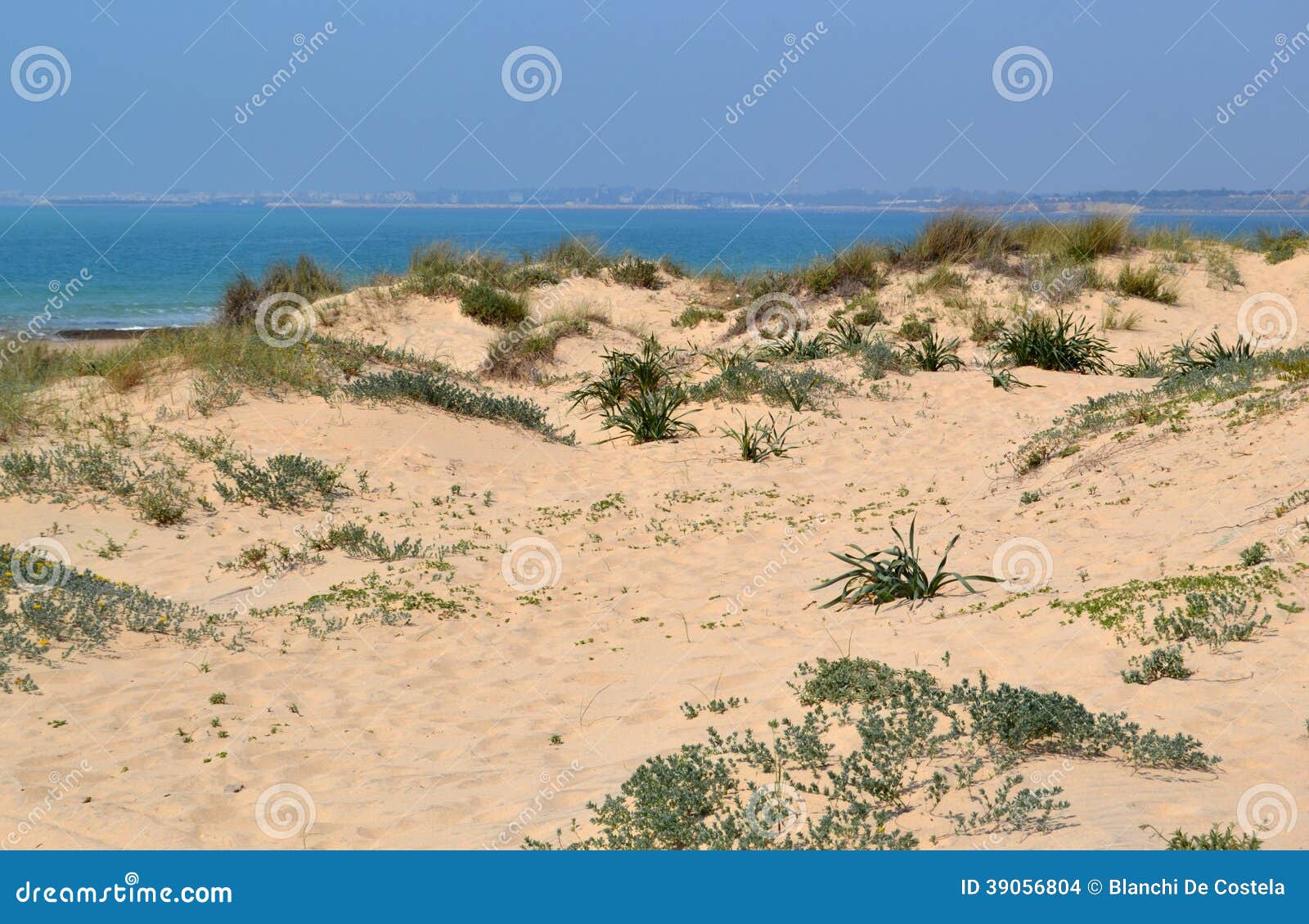 Sand dunes with beach stock photo. Image of sand, environment - 39056804