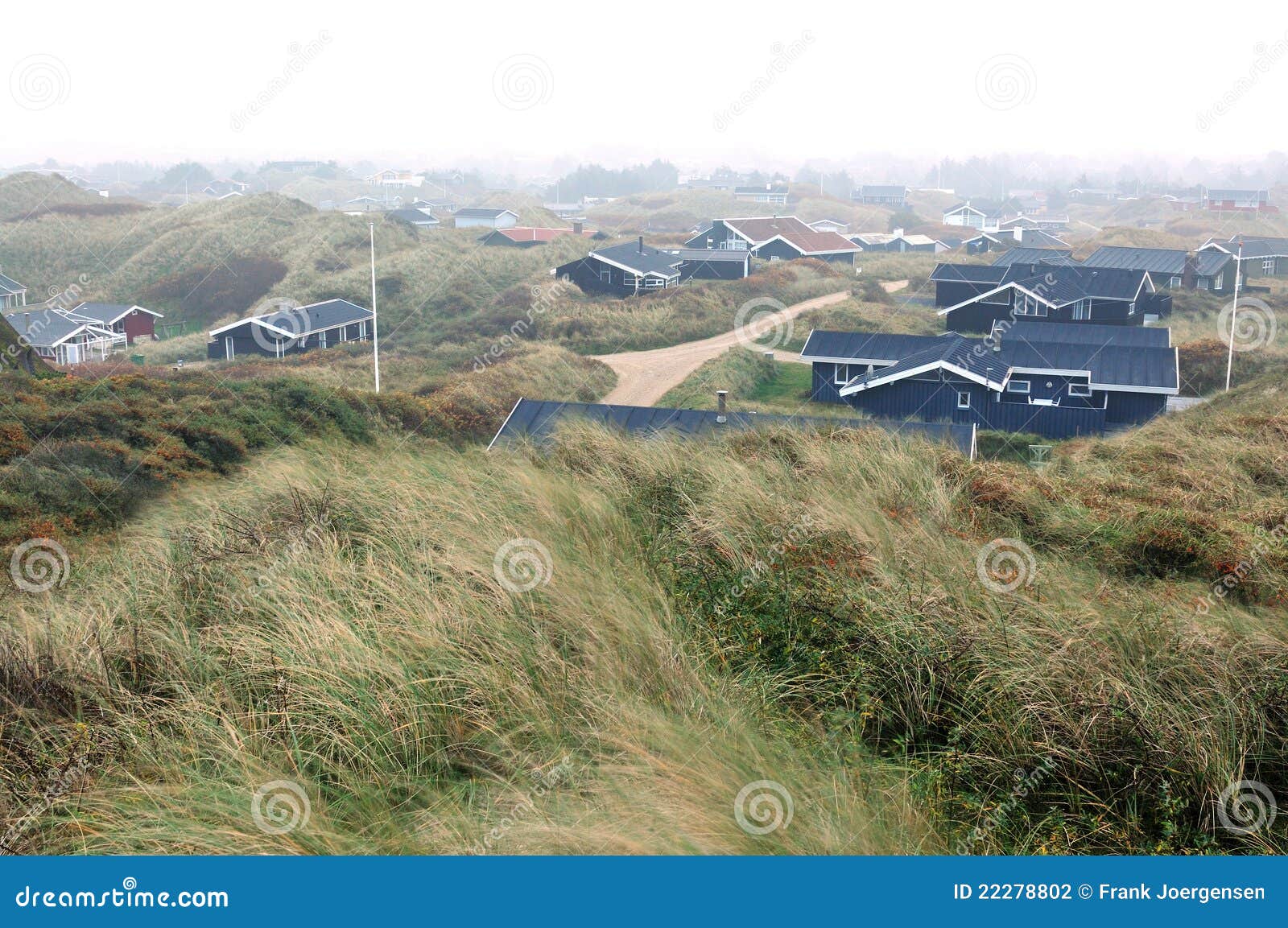 Sand Dunes in Blokhus Denmark Stock Photo - Image of ocean, morning ...
