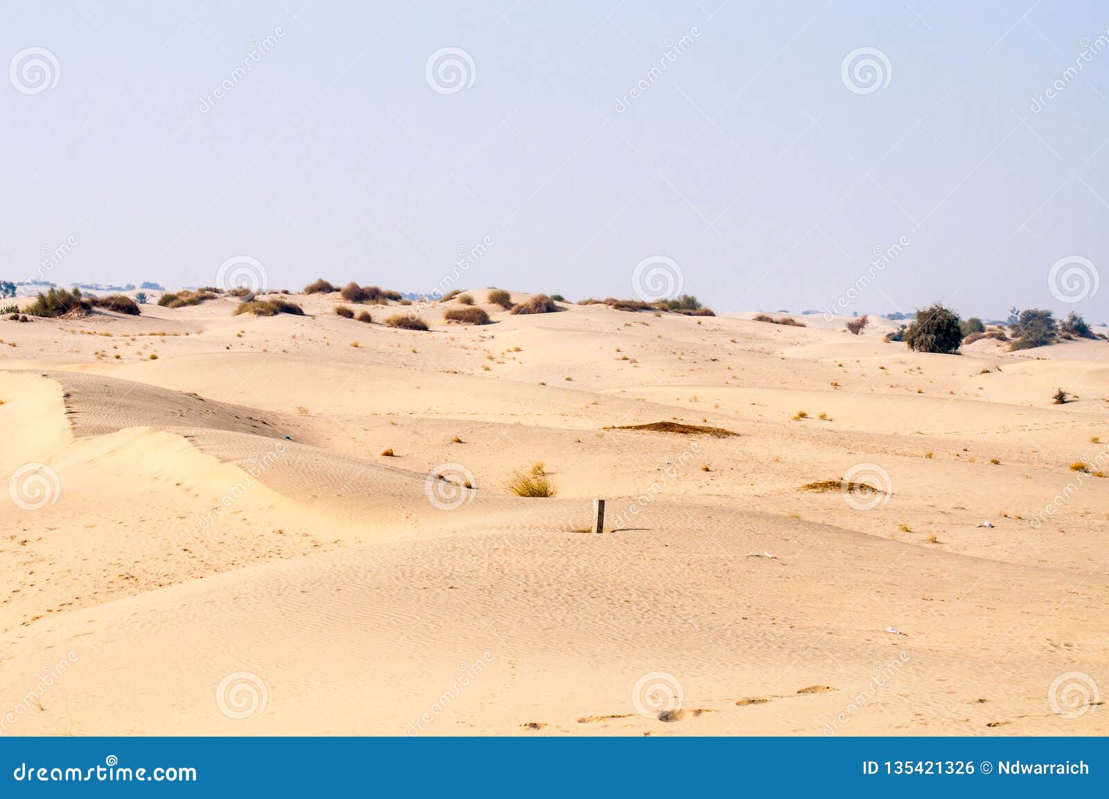 Yellow Sand Dunes in the Thar Desert Stock Photo - Image of hill ...