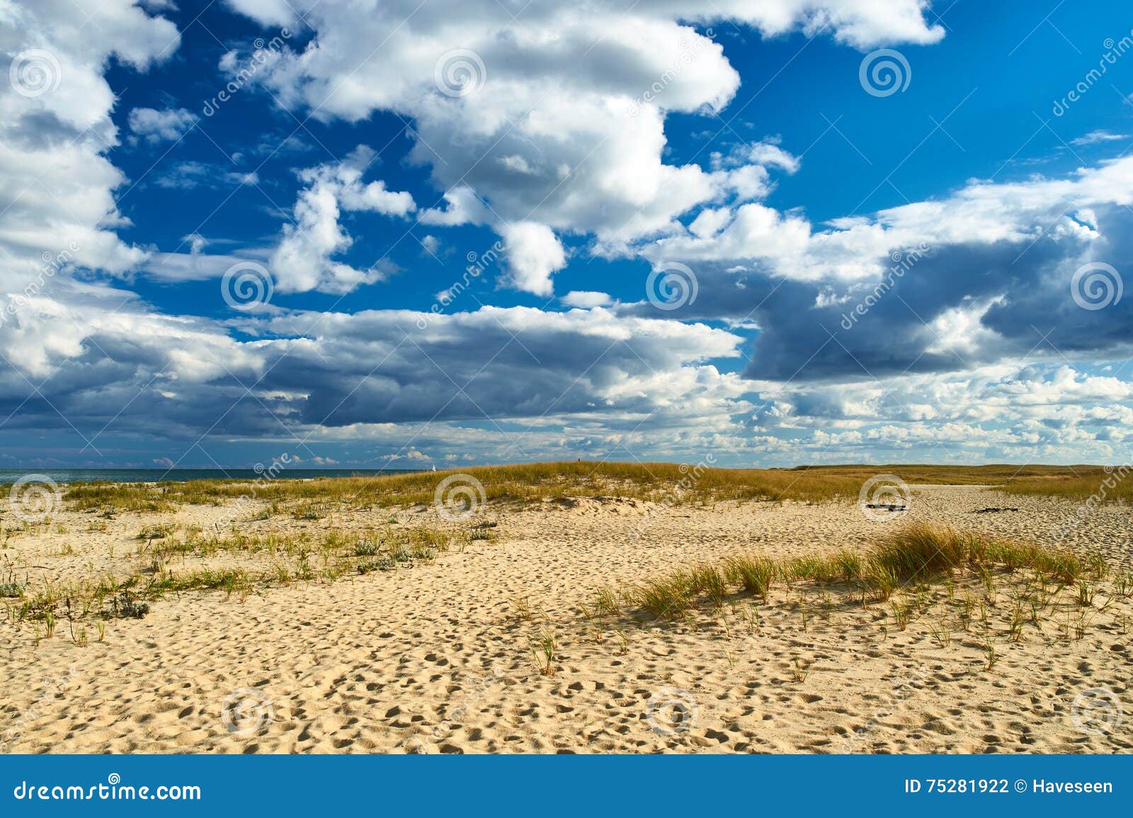 Sand dunes at Cape Cod stock photo. Image of travel, cape - 75281922