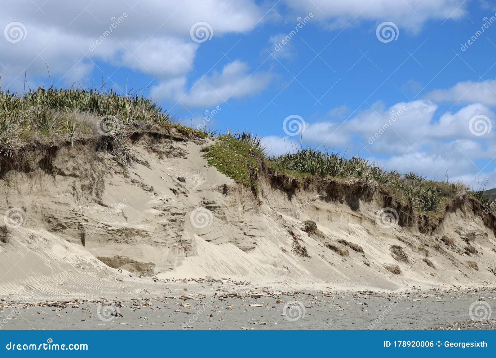 Sand Dunes on Coast of Pacific Ocean, North Island Stock Photo - Image ...