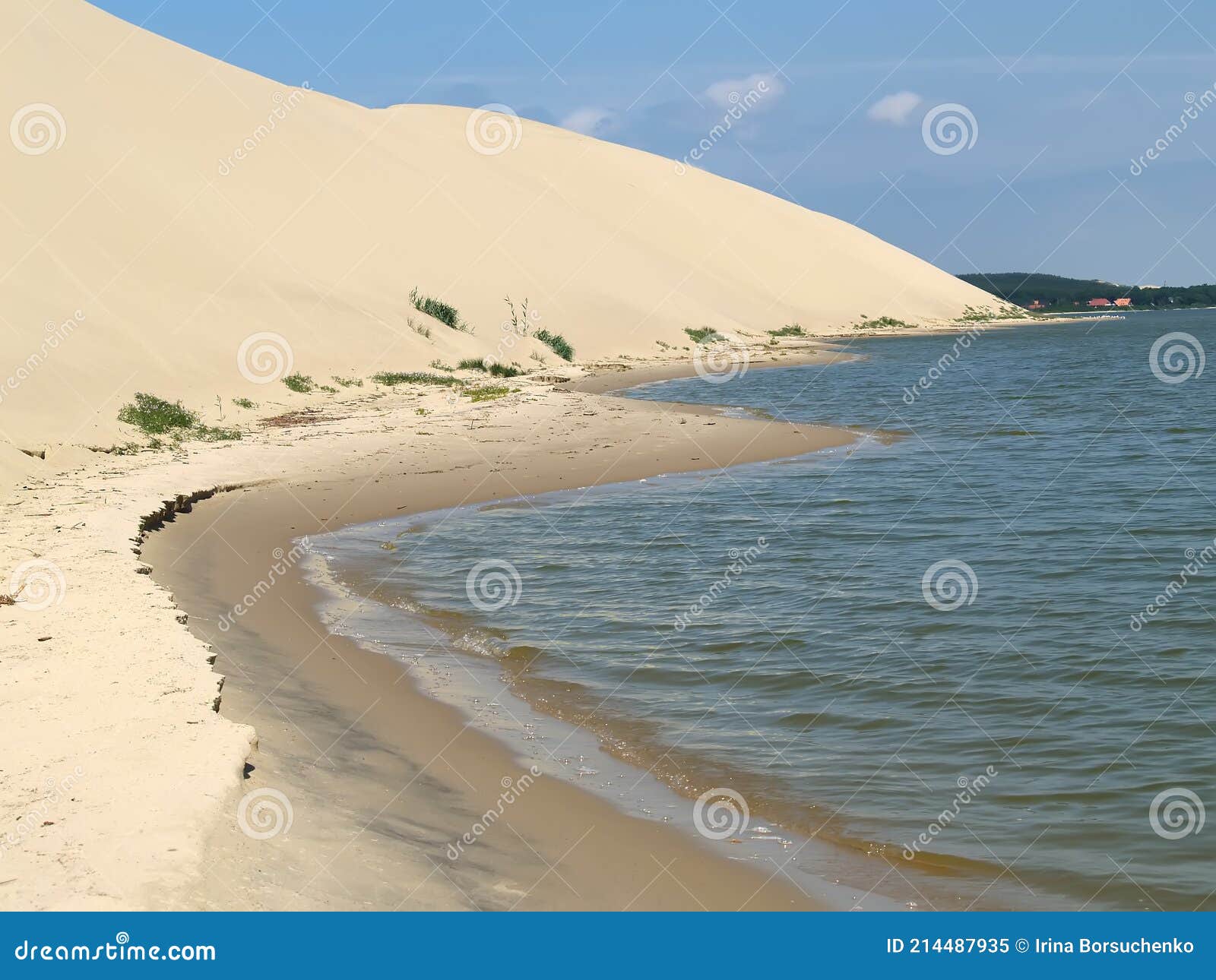 Sand Dunes of the Curonian Spit. Kaliningrad Region Stock Image - Image ...