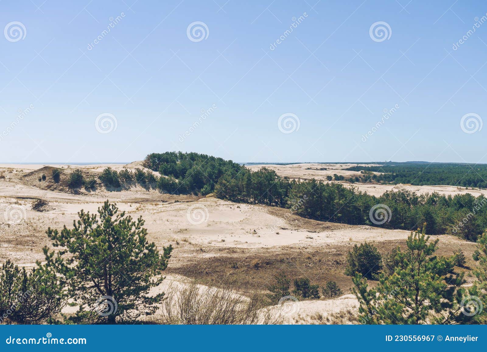 Sand Dunes of Curonian Spit Vysota Efa Stock Image - Image of beach ...