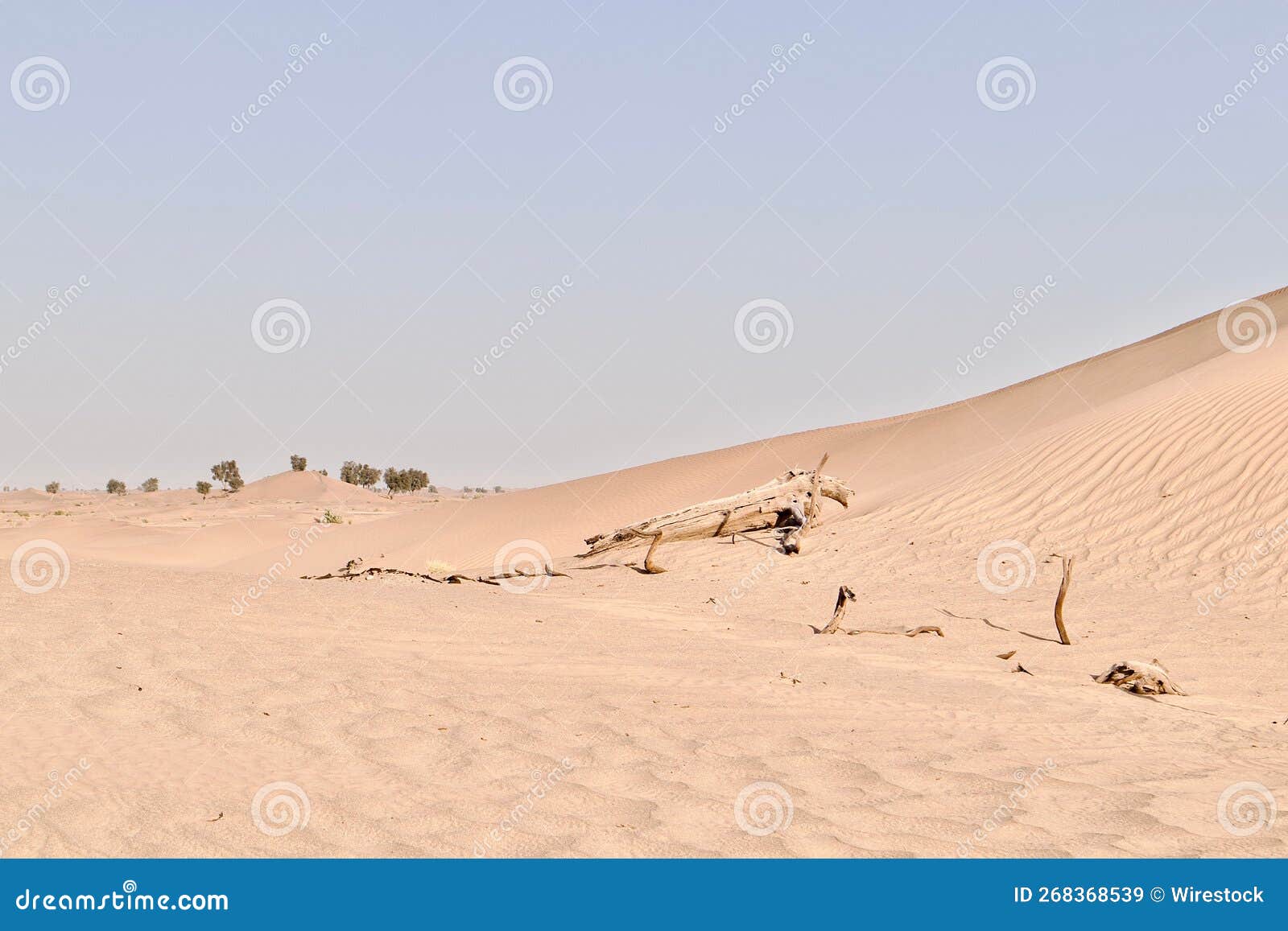 Sand Dunes in a Desert with a Blue Skyline in the Background Stock ...