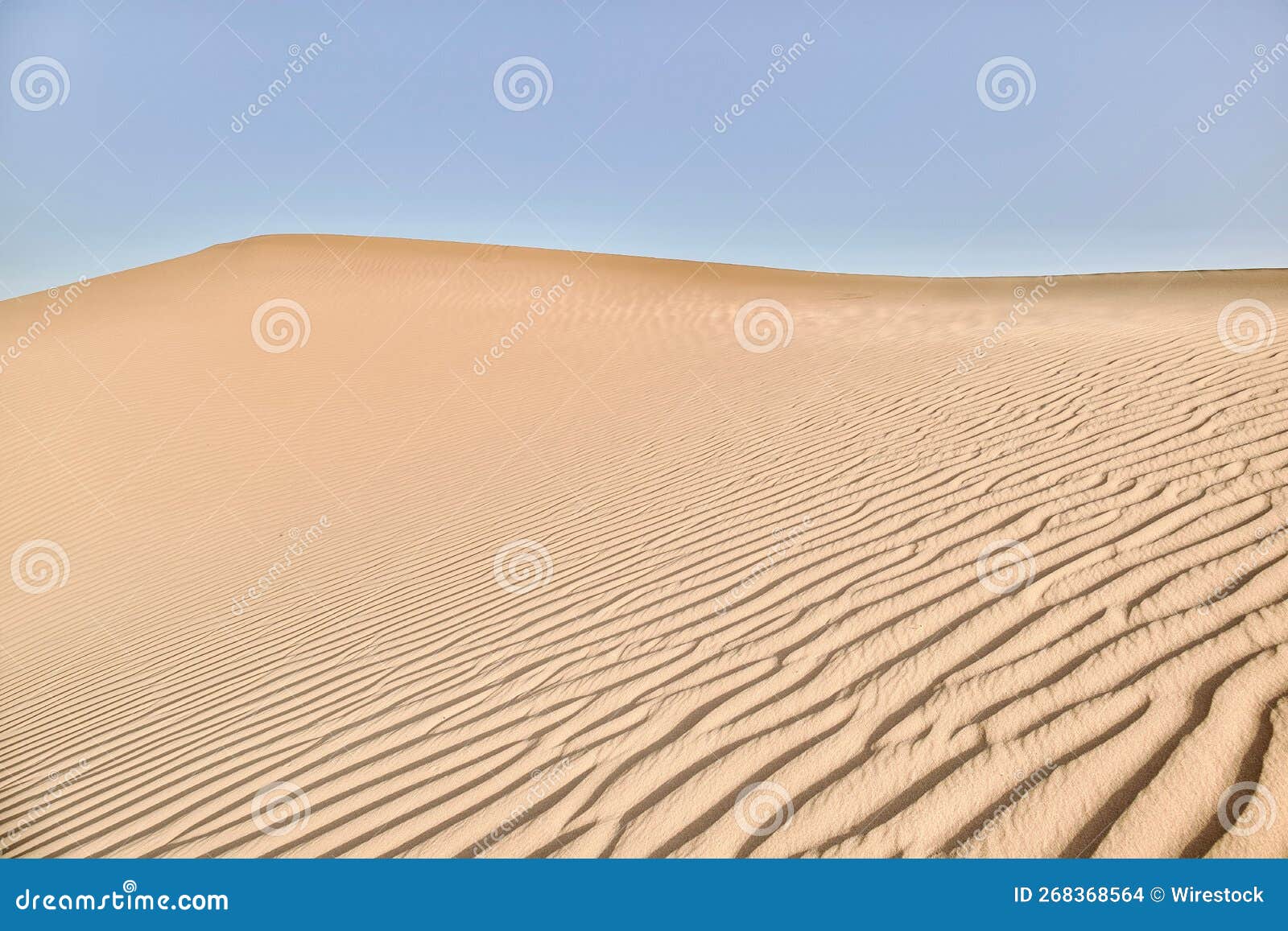 Sand Dunes in a Desert with a Blue Skyline in the Background Stock ...