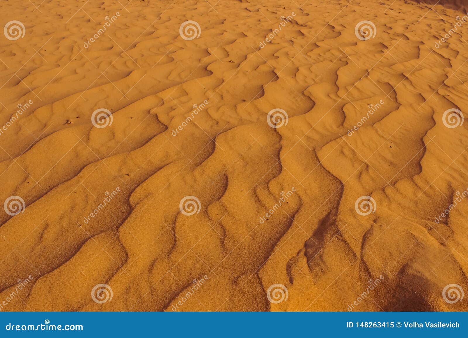 Sand Dunes of the Desert Close Up. Dubai 2019. Stock Image - Image of ...