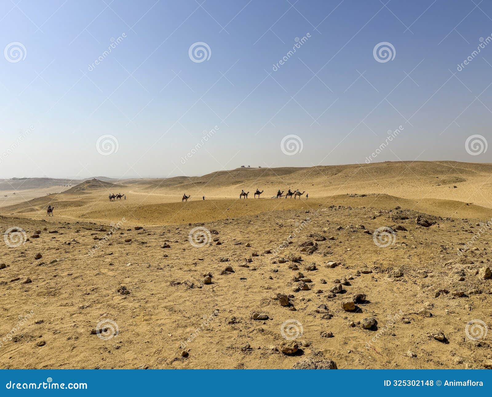 Sand Dunes in the Desert Country, Sahara Egypt Stock Photo - Image of ...