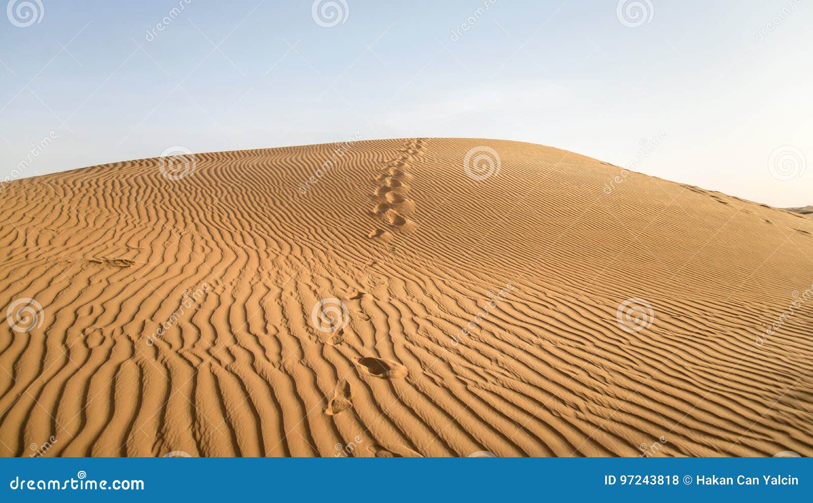 Sand dunes in Dubai Desert stock photo. Image of adventure - 97243818